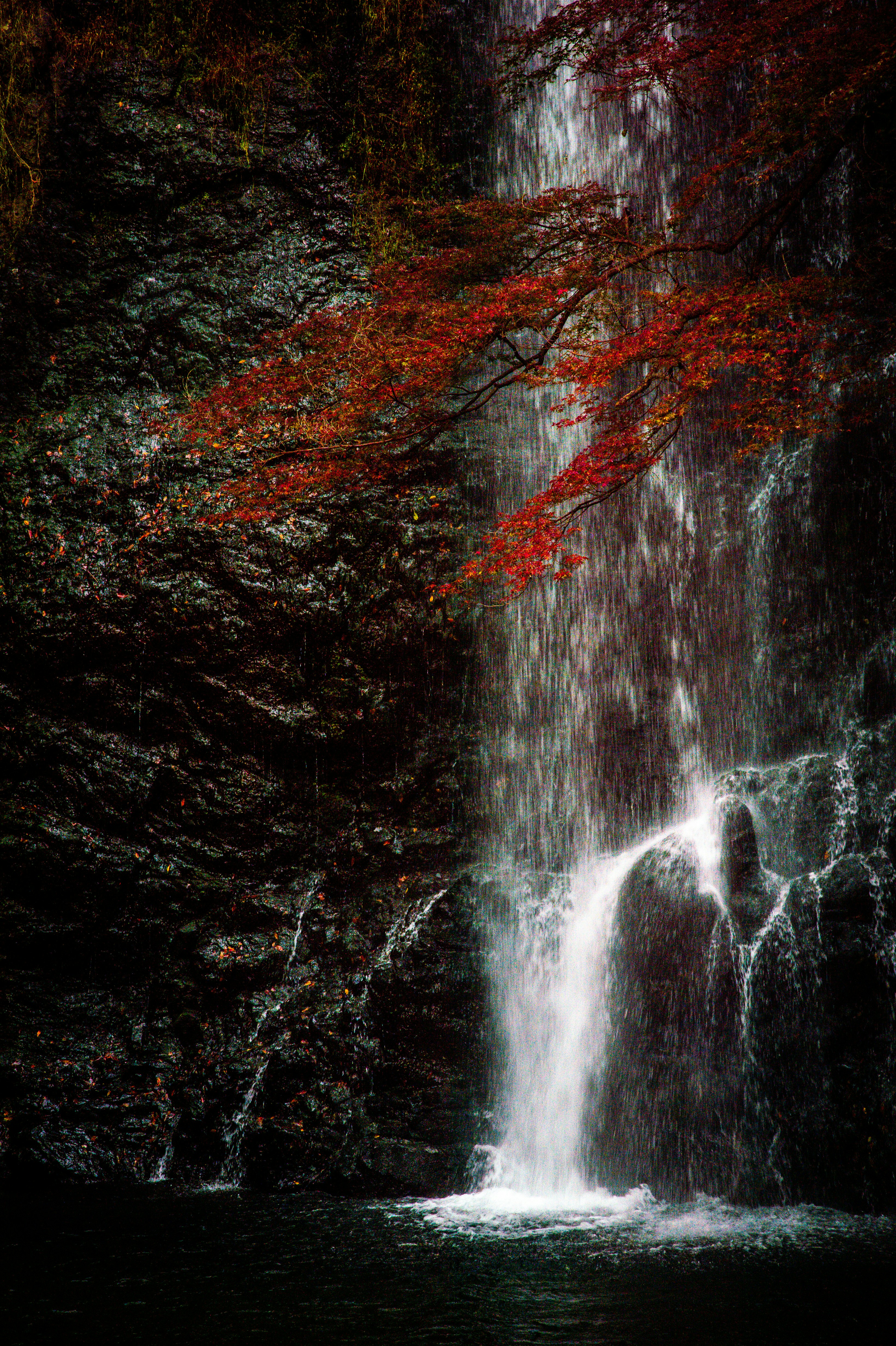 Crimson Veil Framing a Quiet Cascade