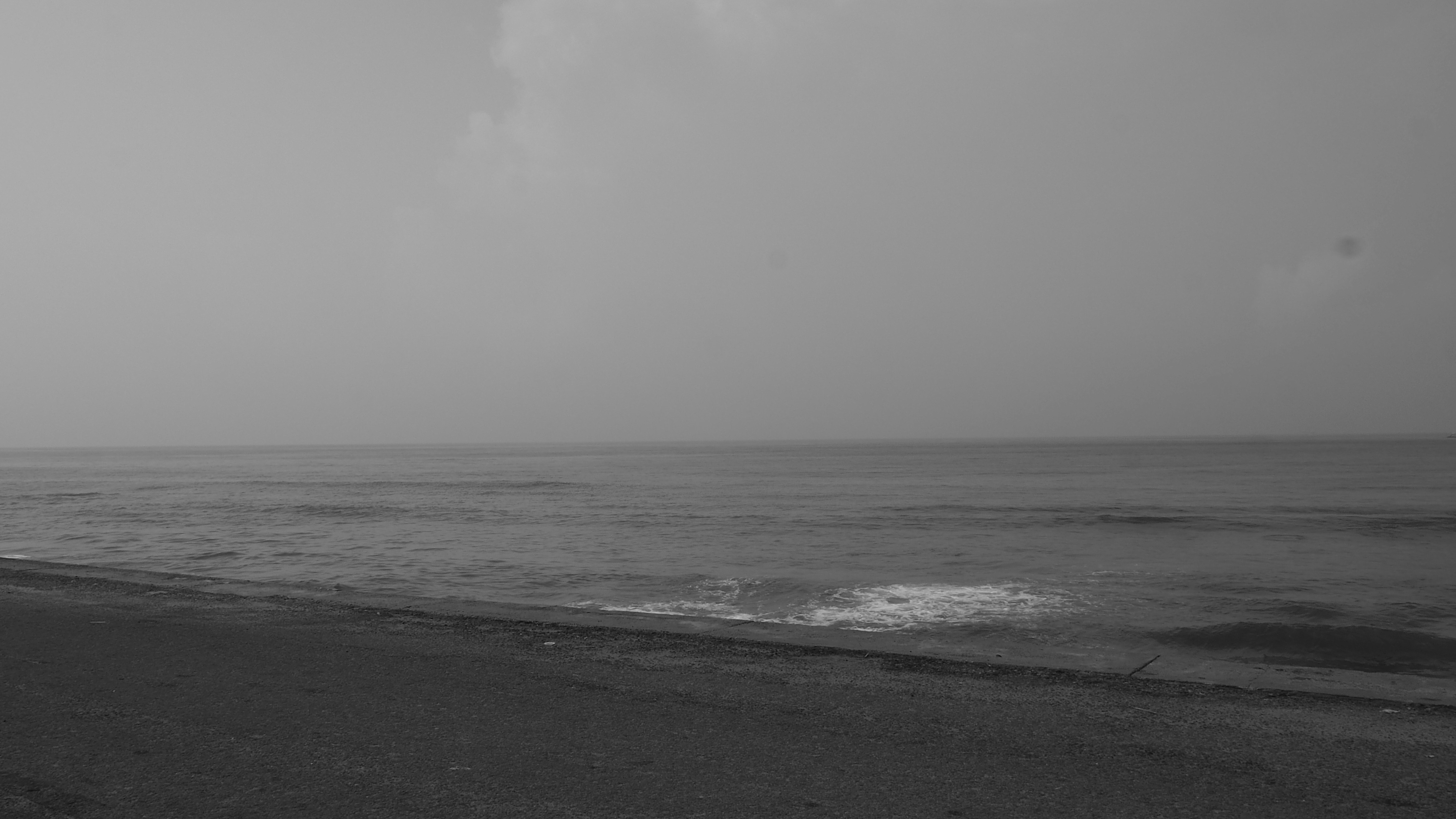 Photo by Jonathan Frank with Olympus OM-D E-M10 Mark II