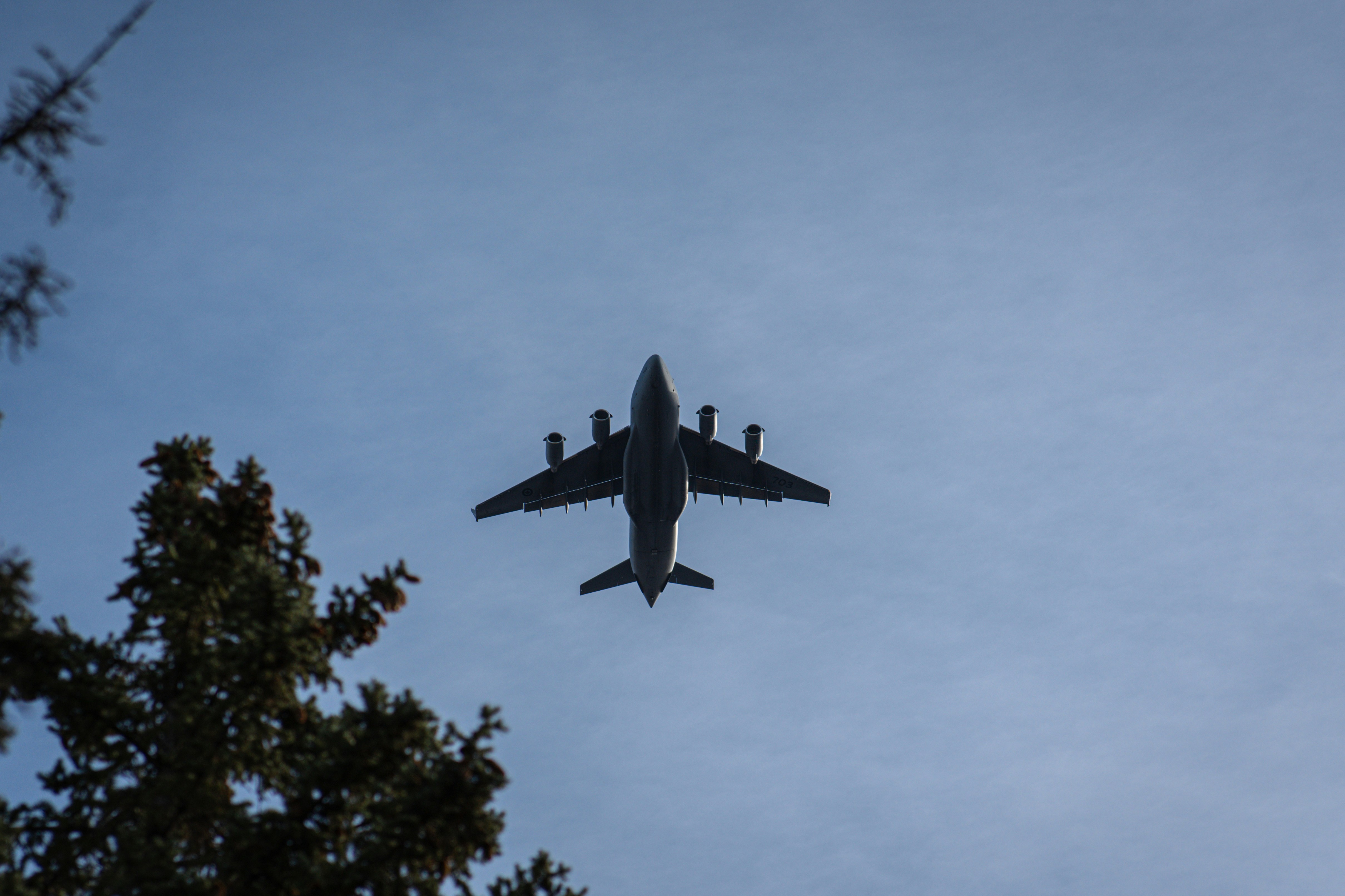 Photo by Josh Marty with Sony Alpha 7 IV