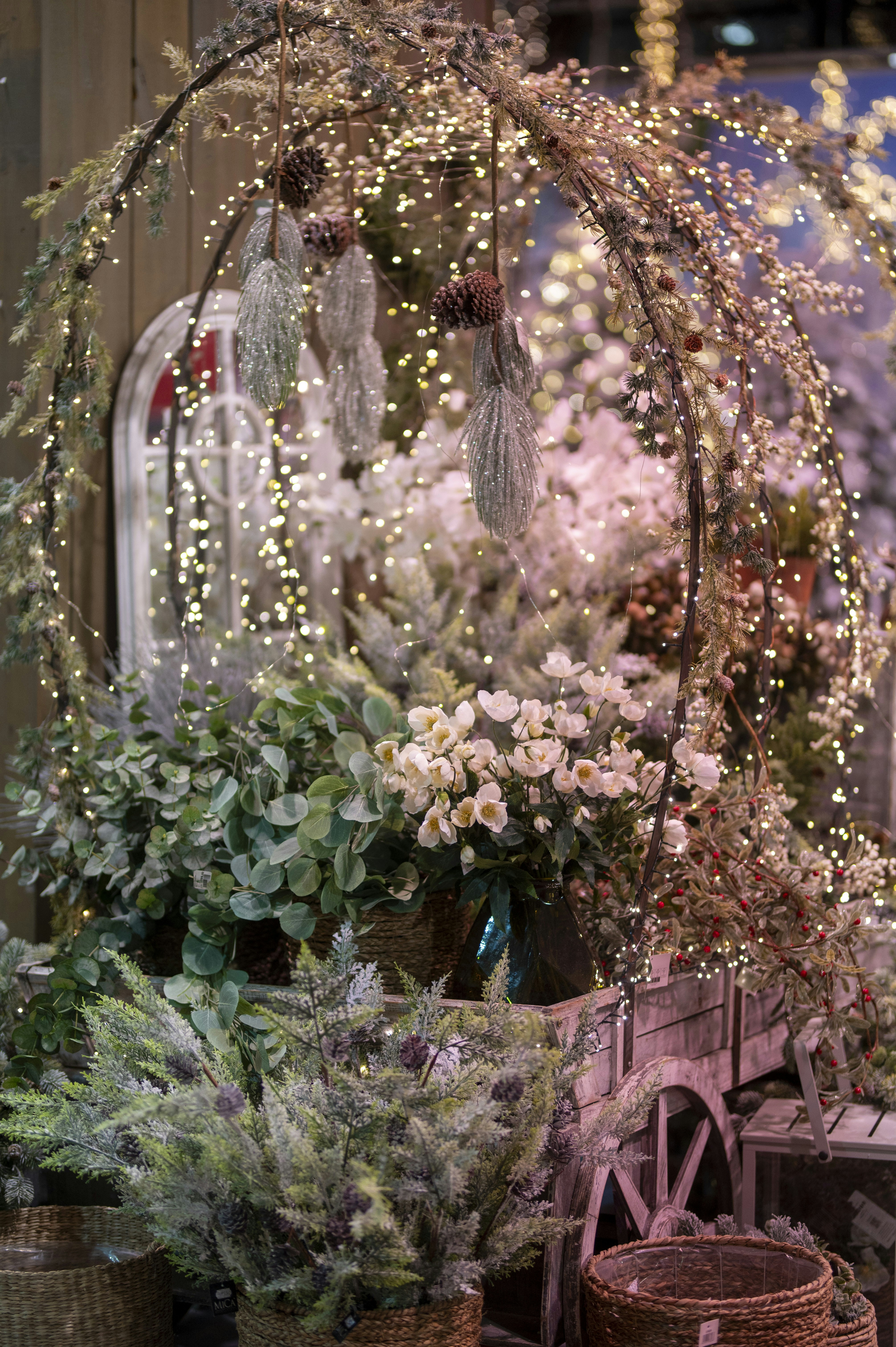 Photo by Dragon White Munthe with Nikon Z6 II