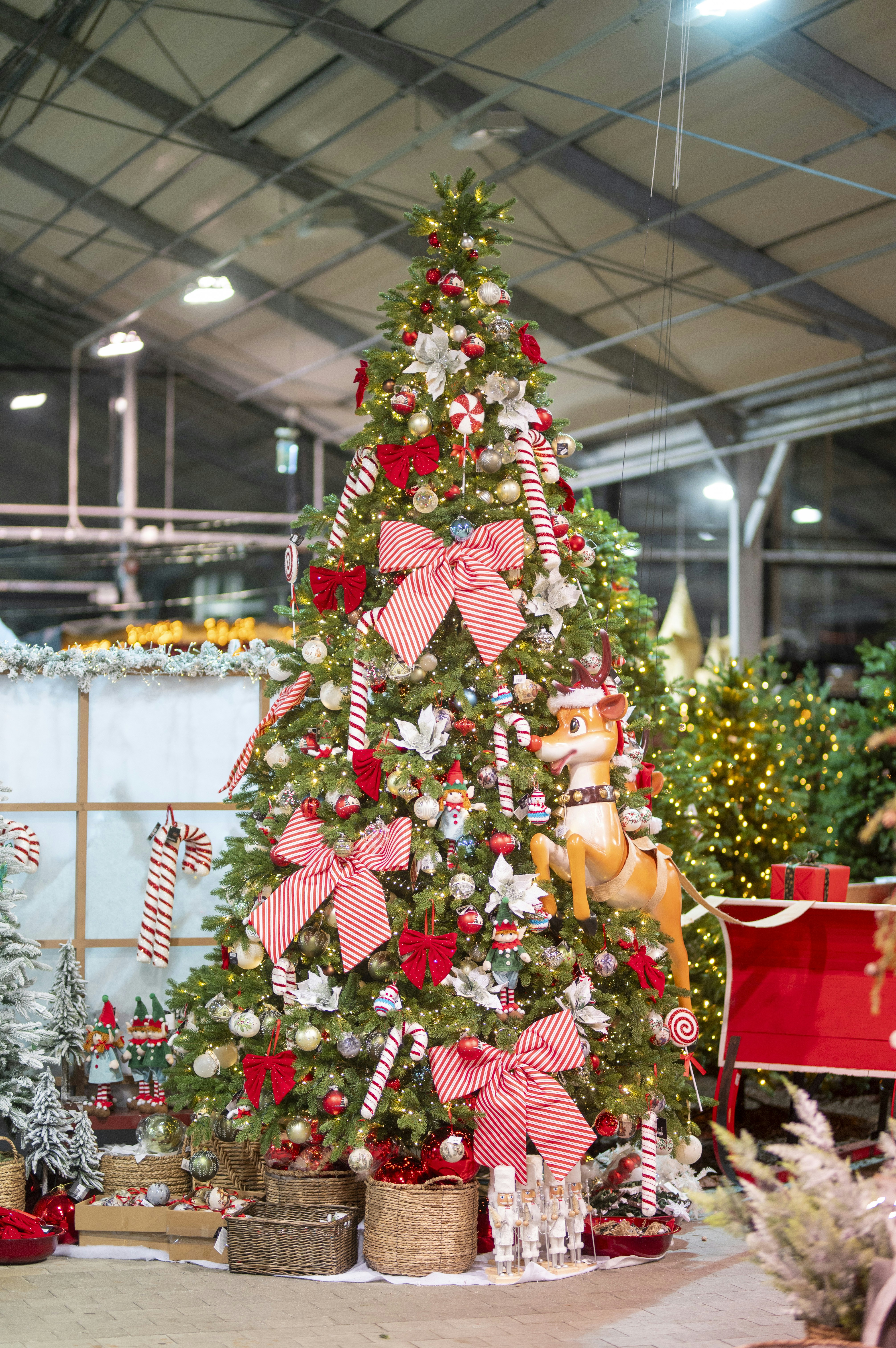 Candy-Cane Cascade: A Market-Hall Christmas Tree Dressed in Red-and-White Ribbons