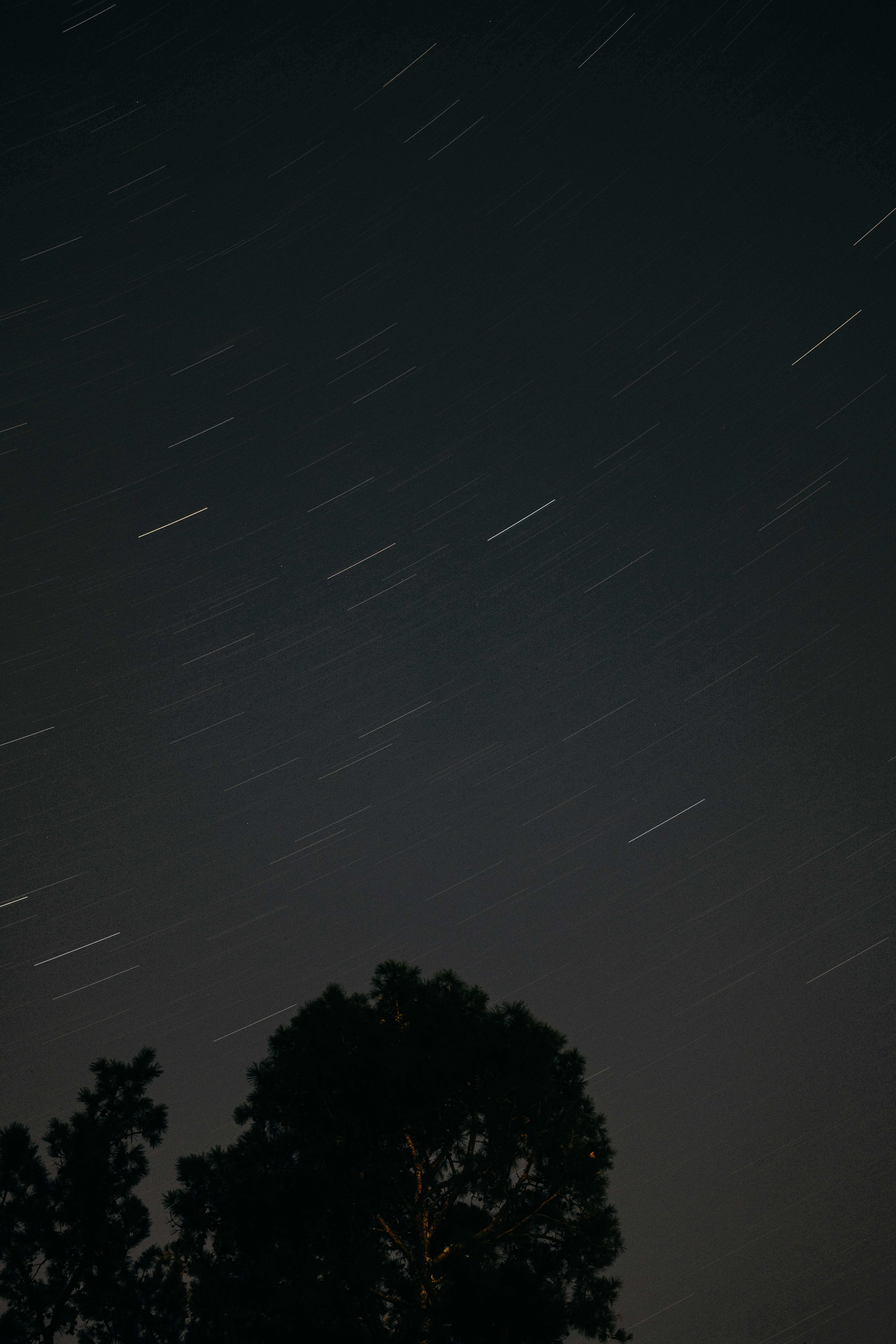 Photo by Travis Fish with Fujifilm X100VI