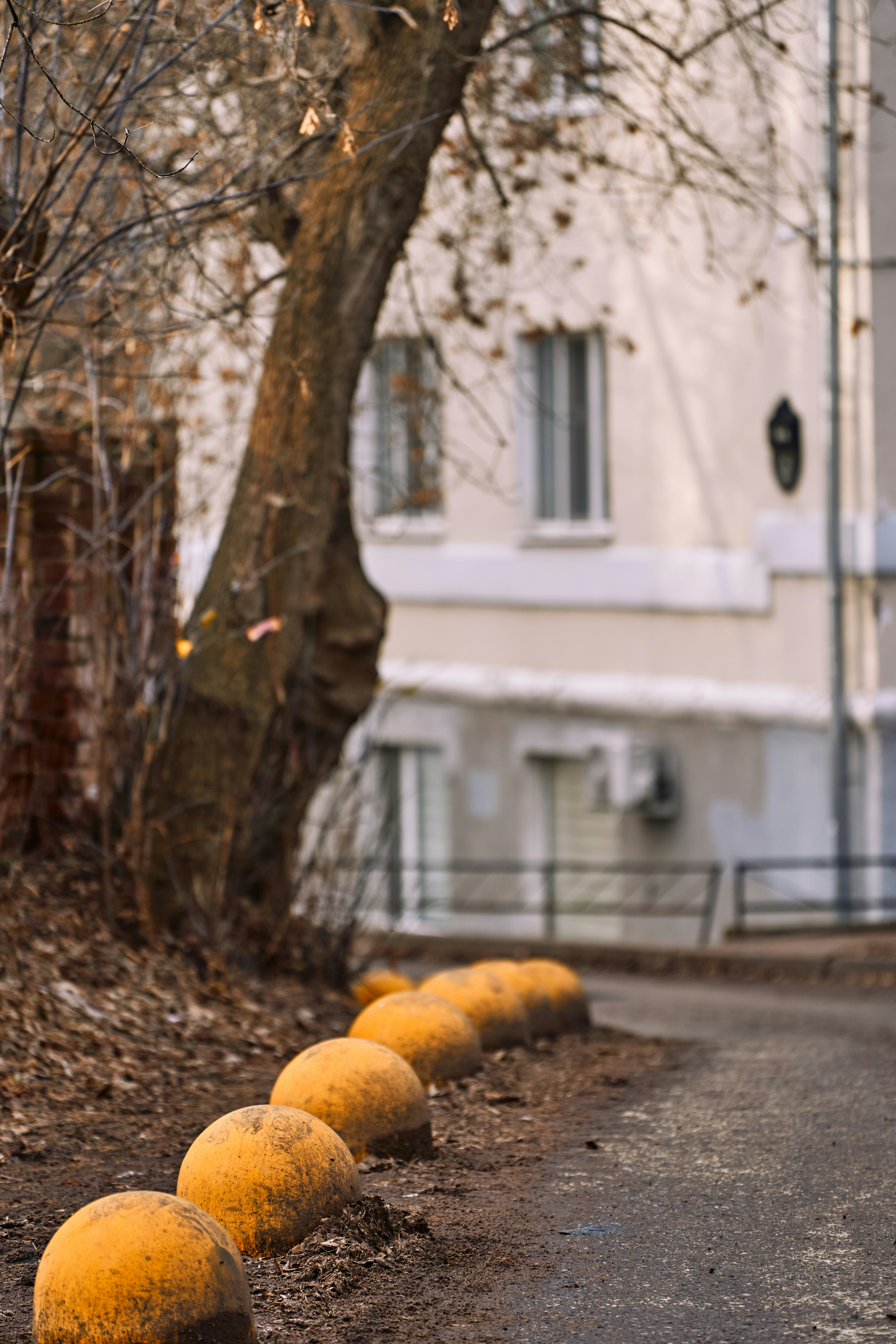 Amber Bollards Align a Quiet Street in Soft Evening Light