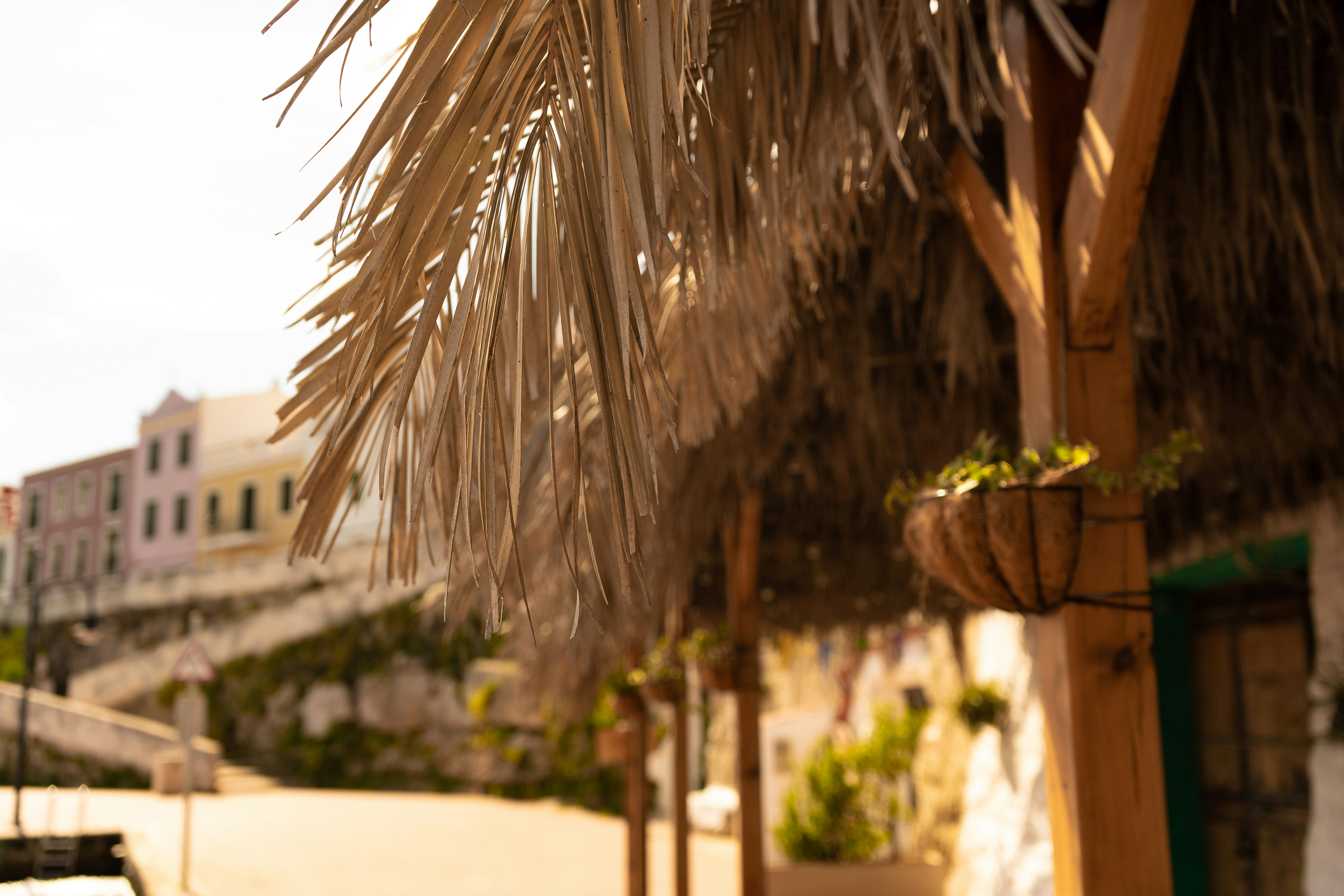 Photo by Julia Fiander with Sony Alpha 7 IV