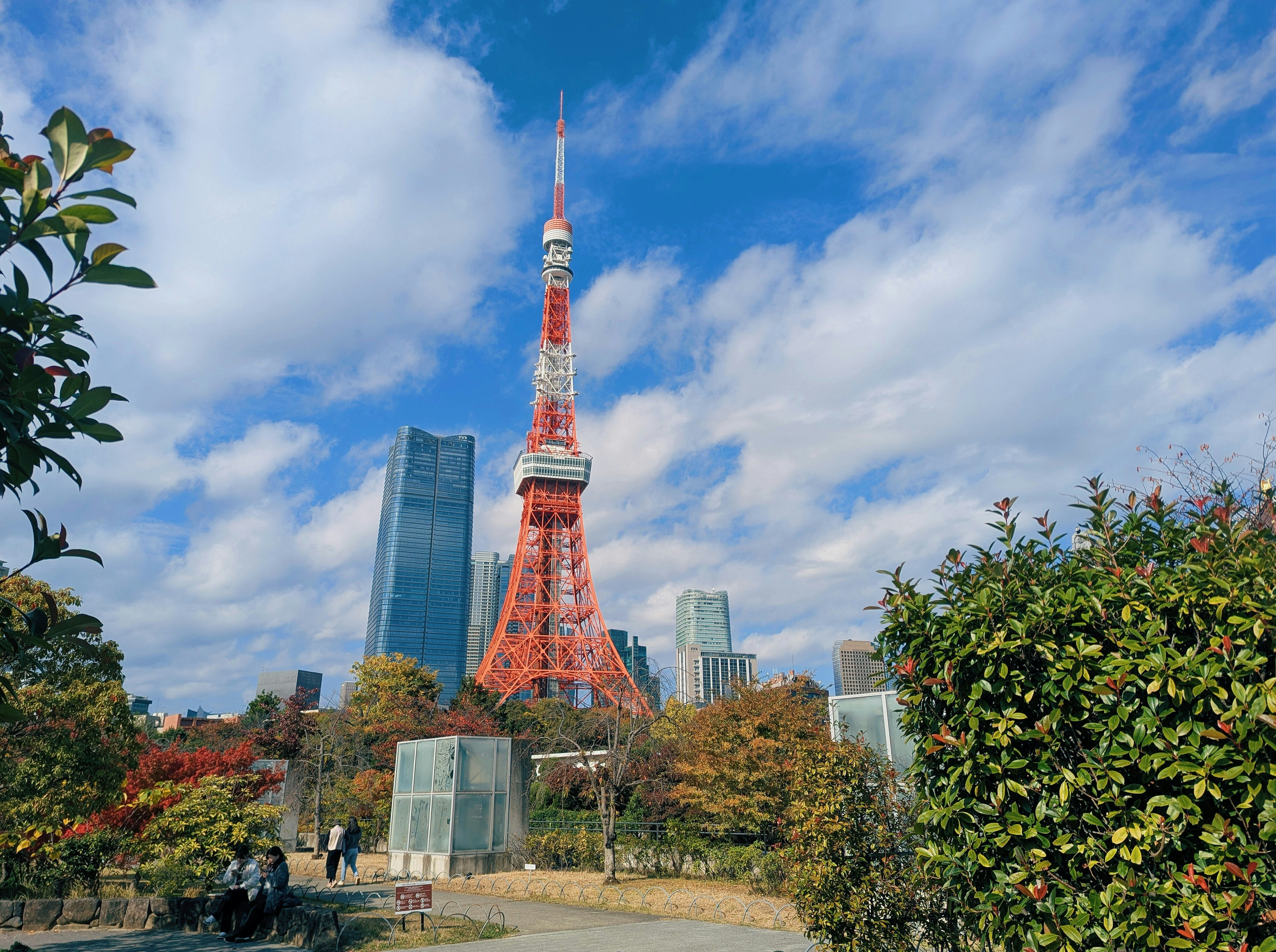 Crimson Tokyo Tower Rising Through Autumn Park Canopy