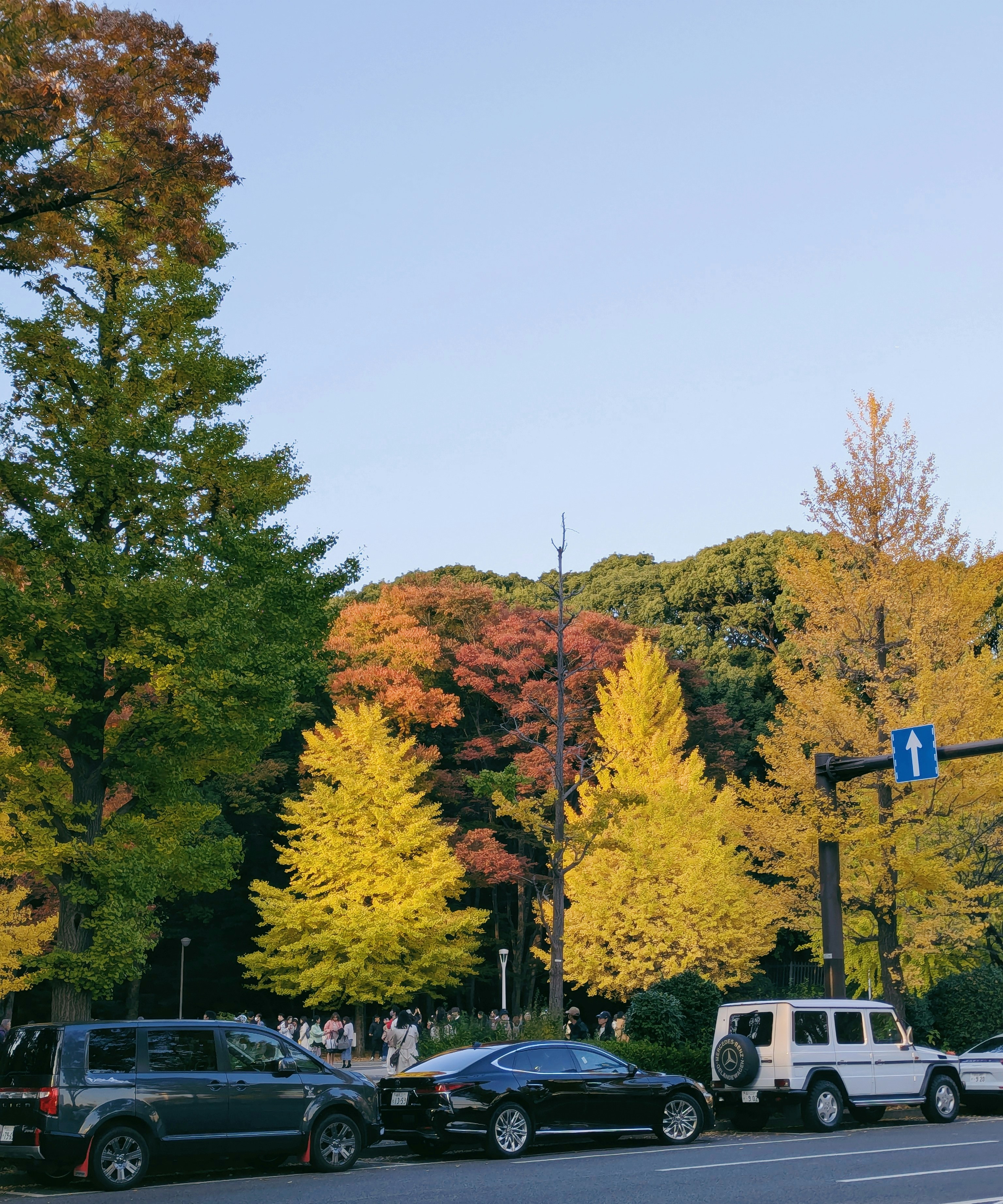 Photo by note thanun with Google Pixel 6