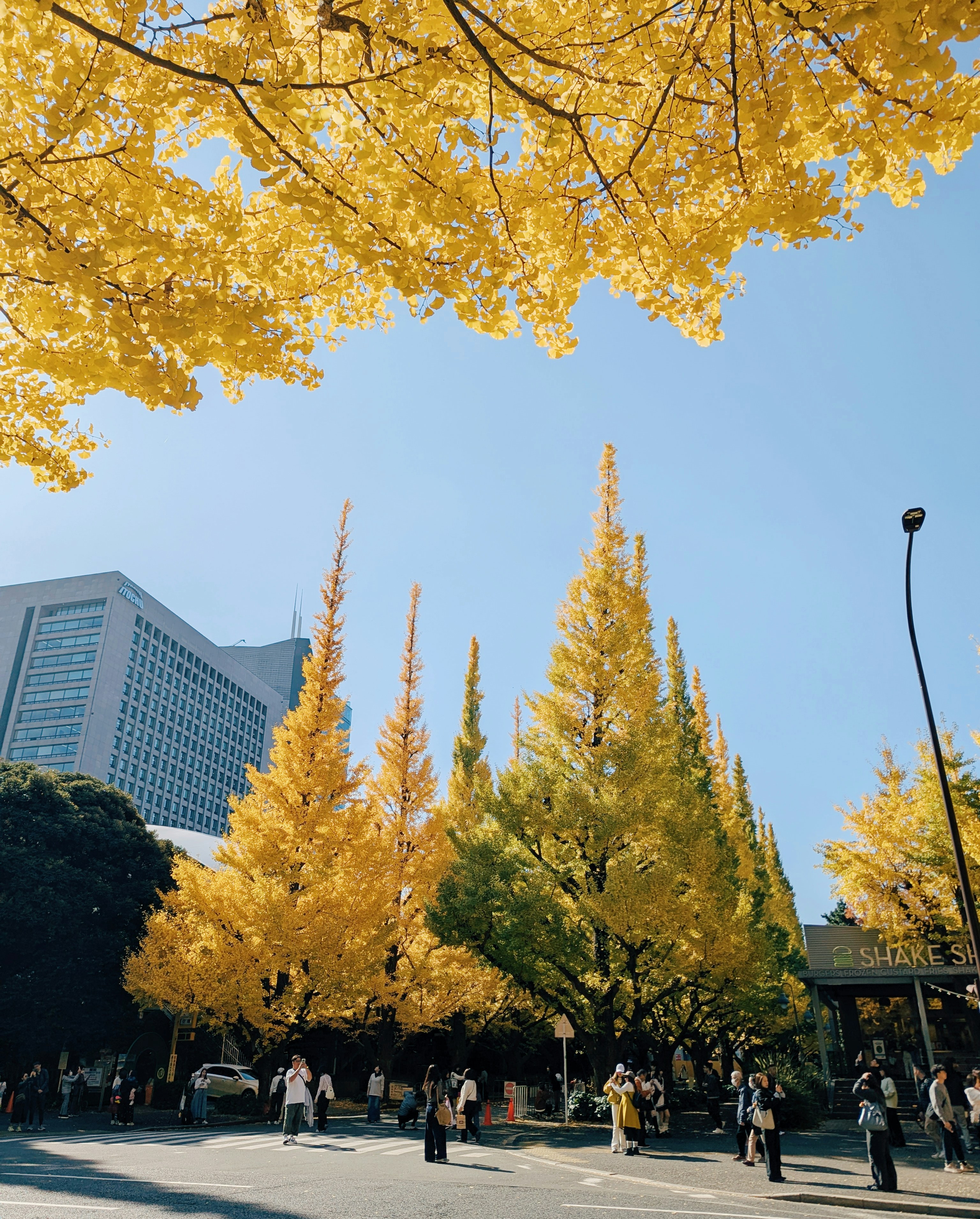Gilded Canopy Over a City Square