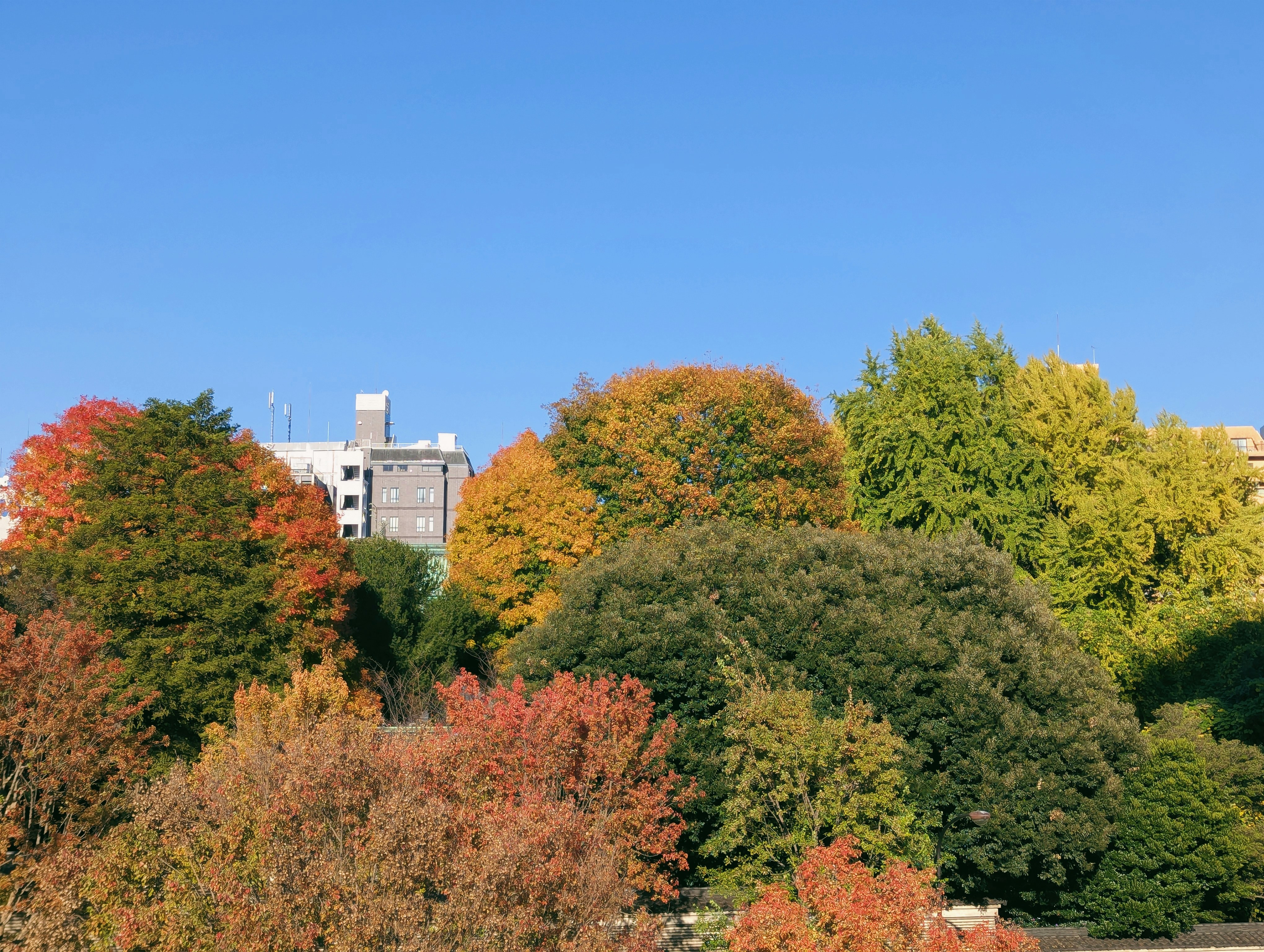 Photo by note thanun with Google Pixel 6