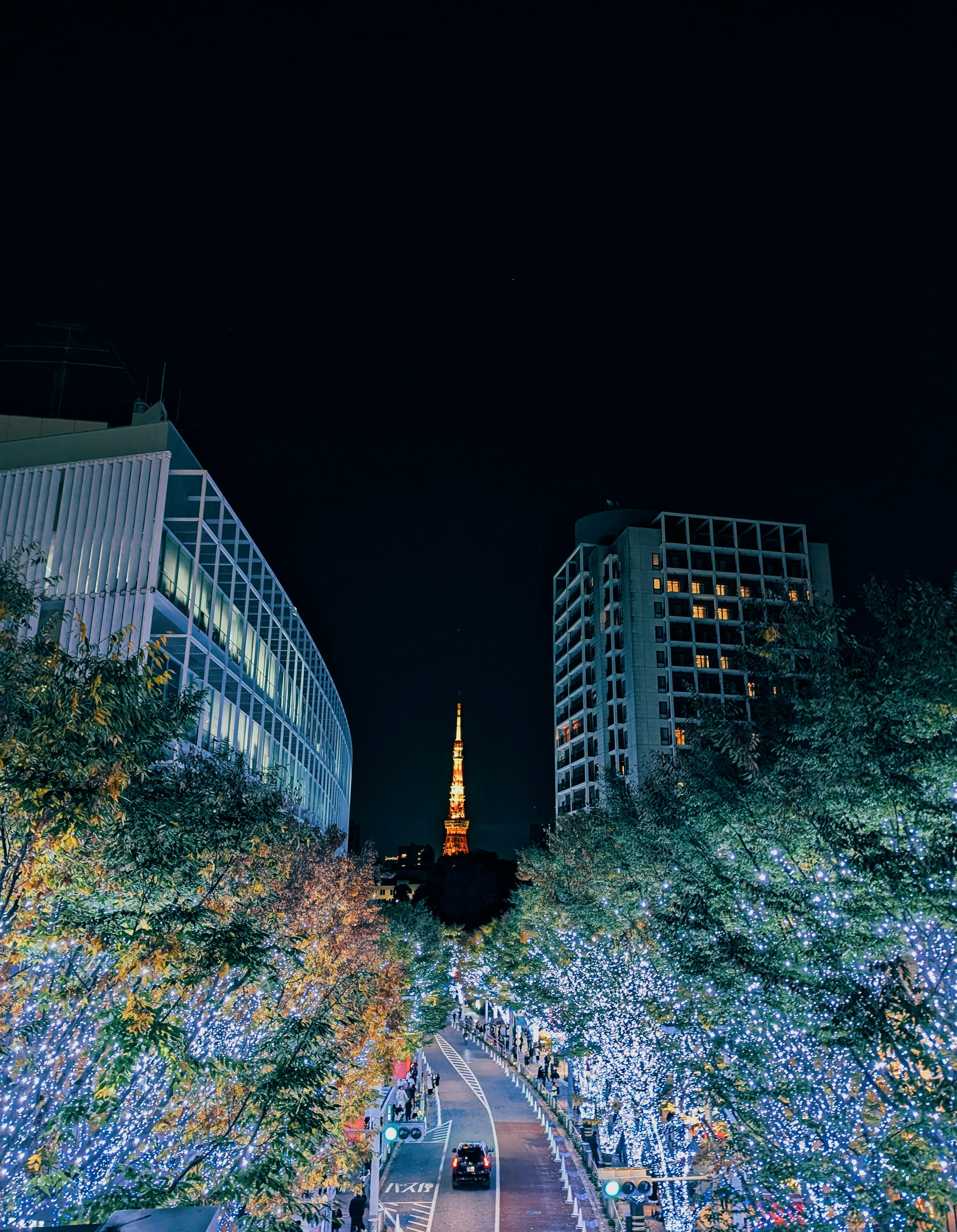 Tower-bound Neon Corridor: Night Street with Blue-lit Trees