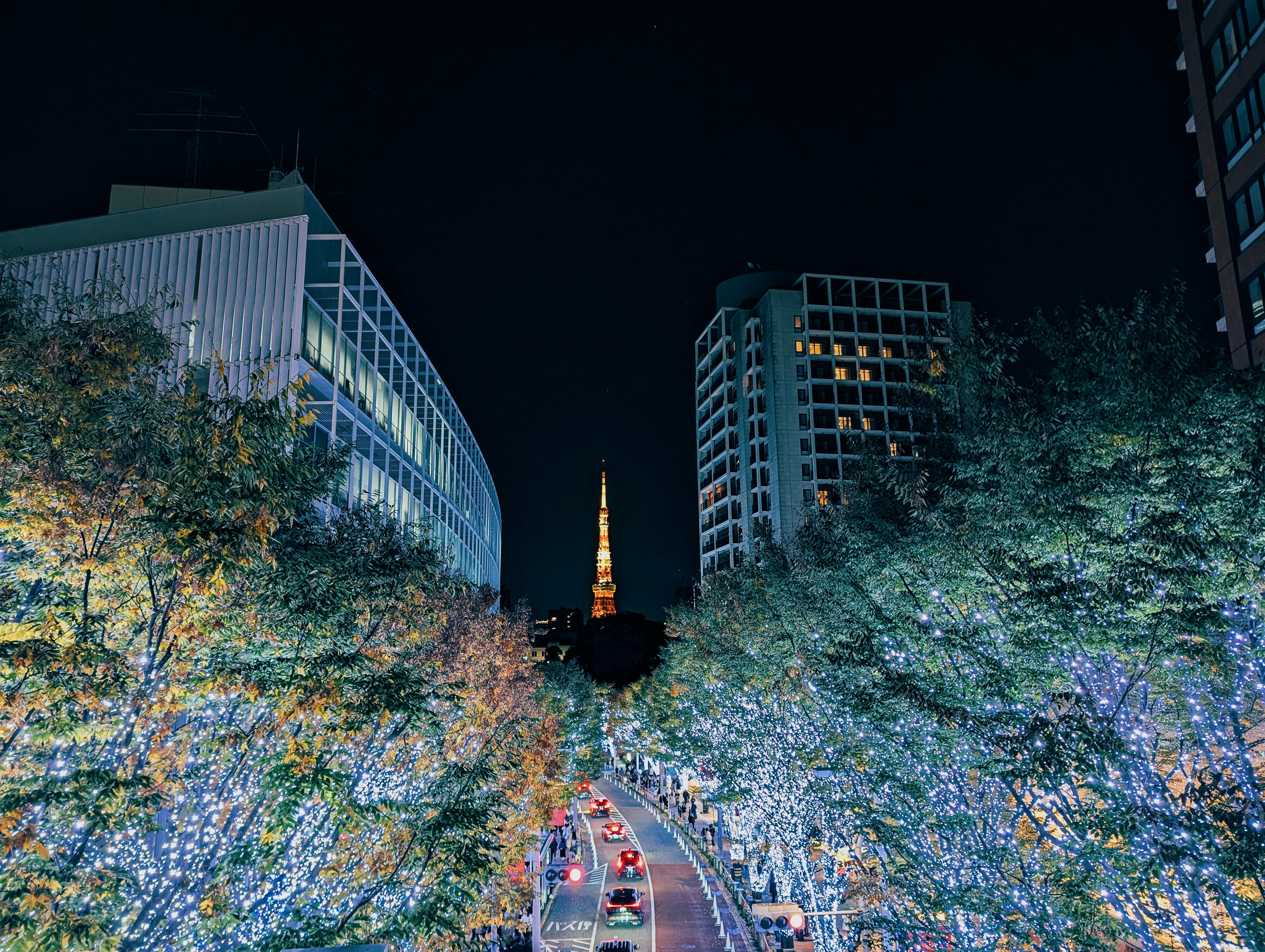 Photo by note thanun with Google Pixel 6