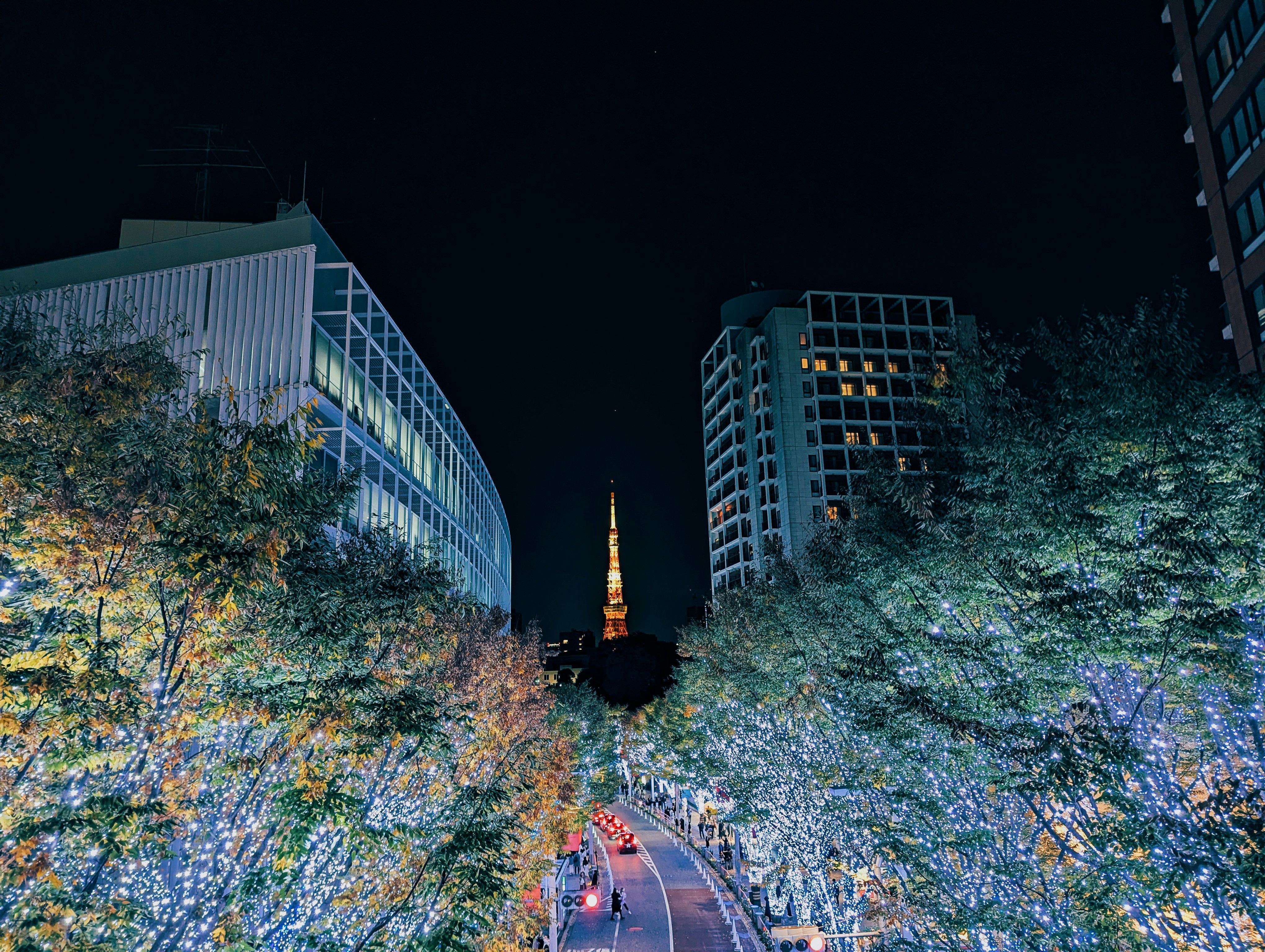 Photo by note thanun with Google Pixel 6