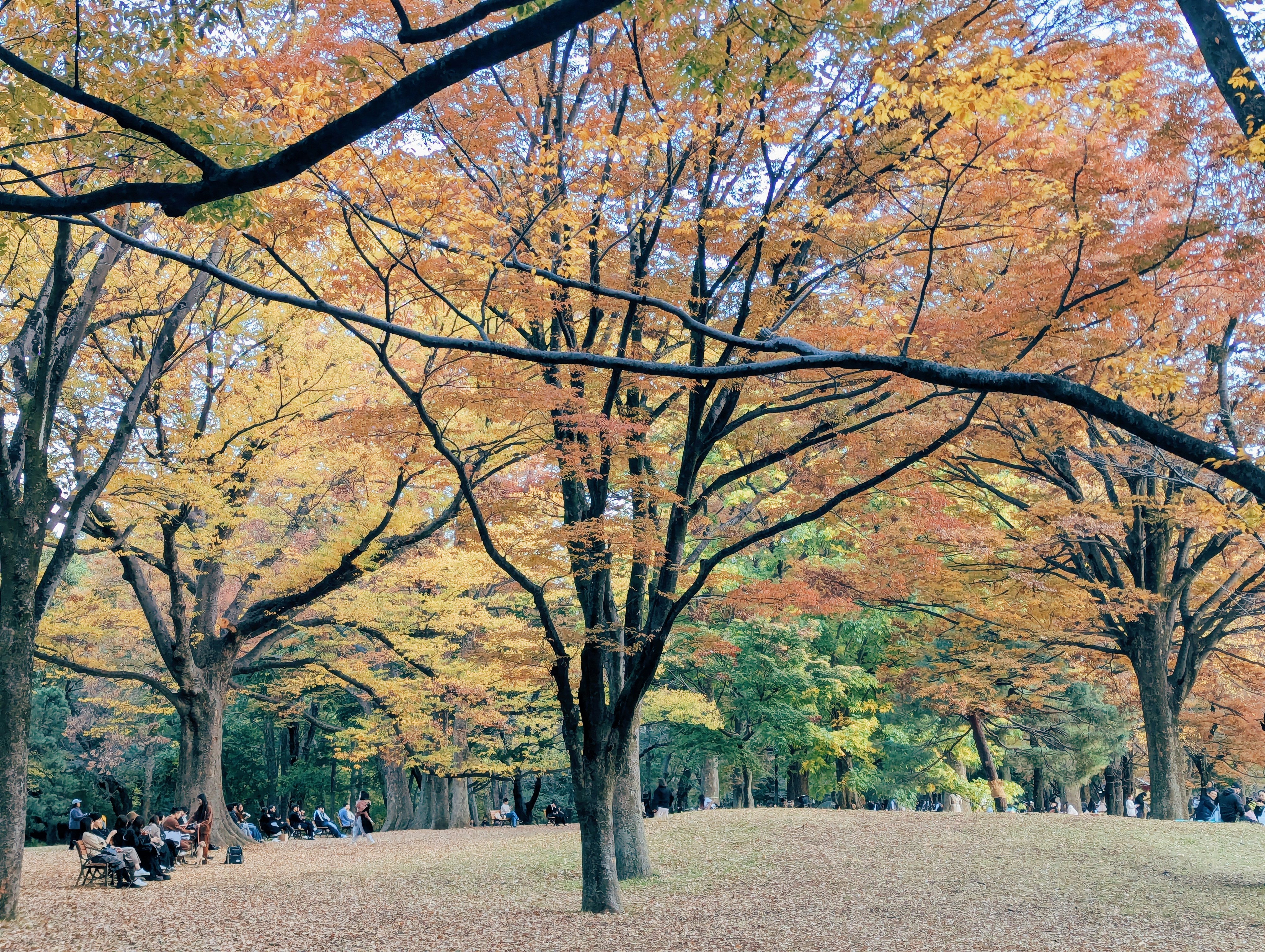 Photo by note thanun with Google Pixel 6