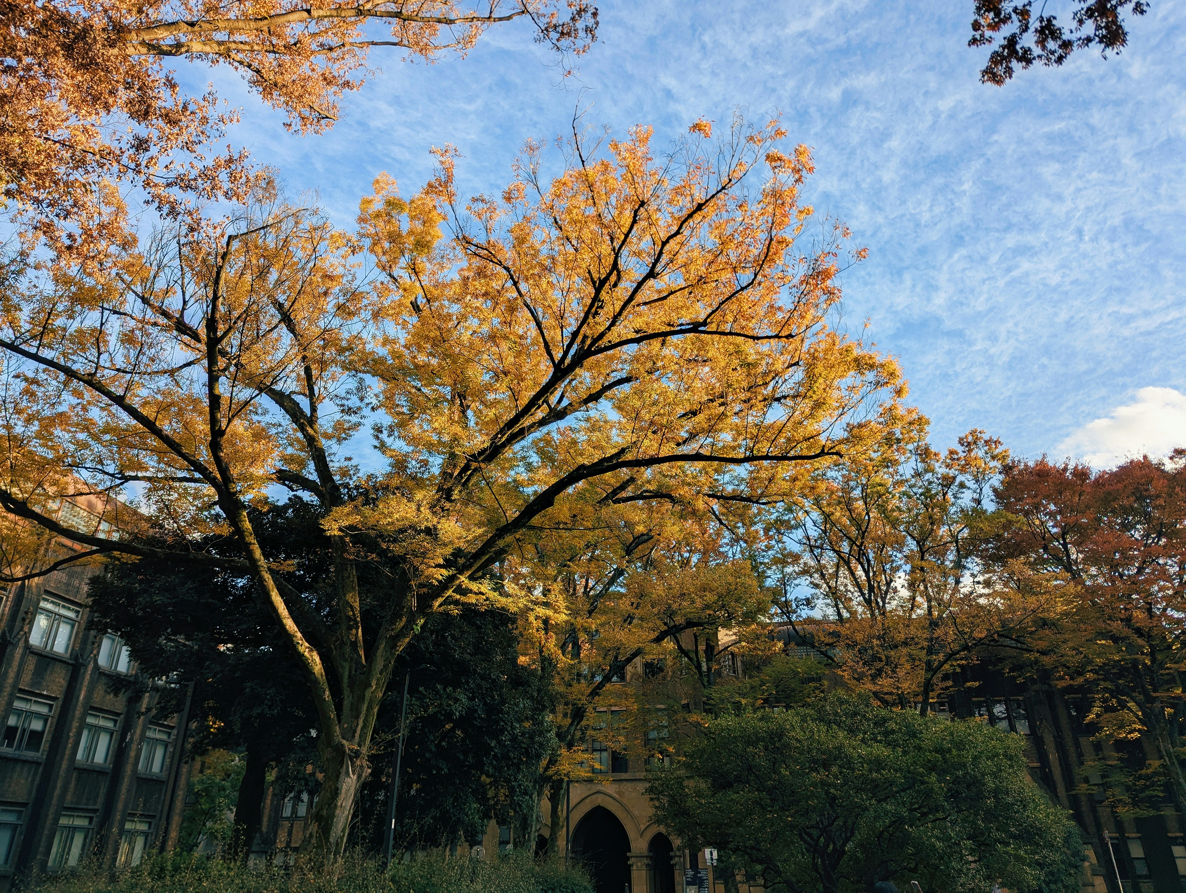 Photo by note thanun with Google Pixel 6