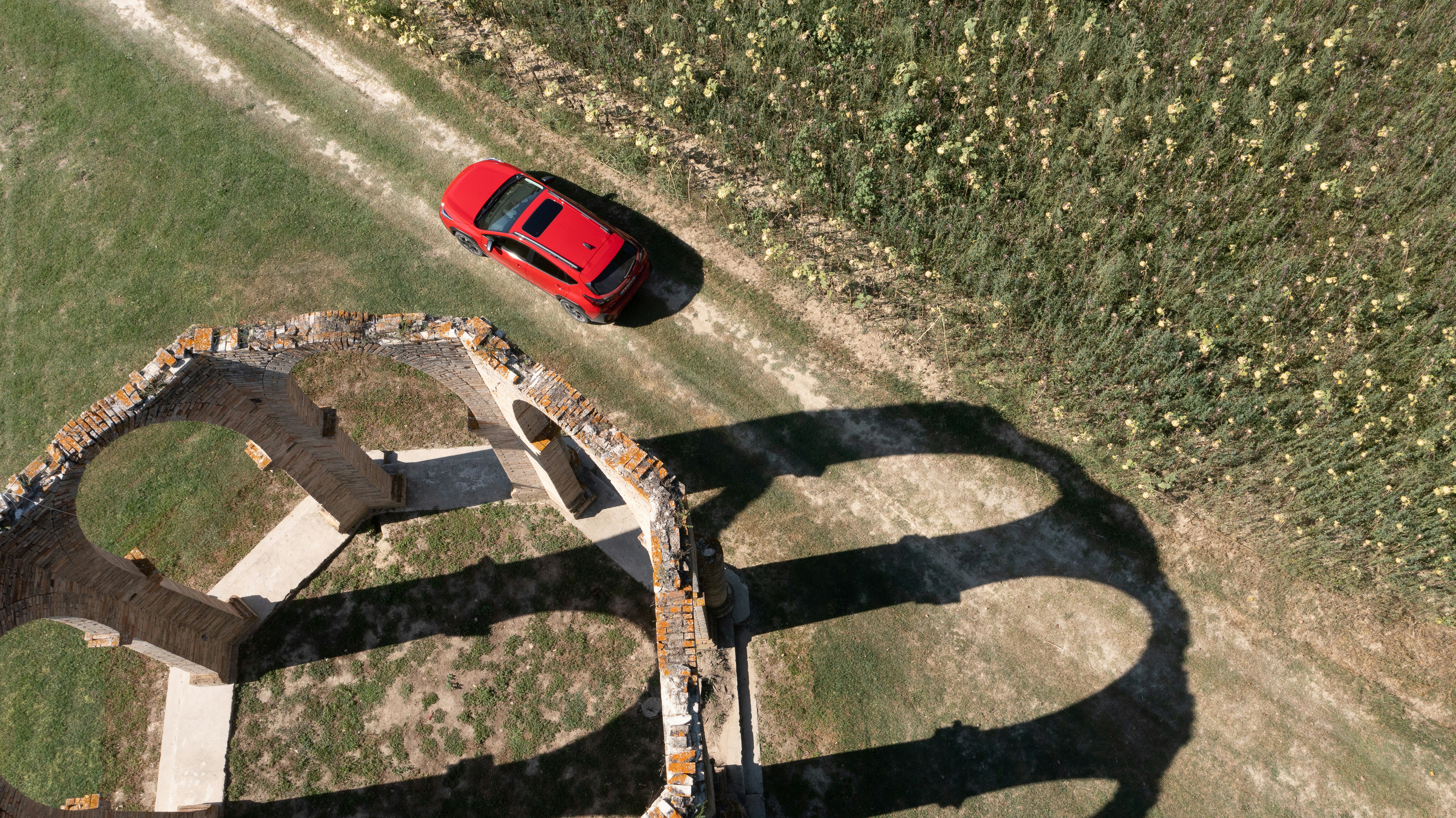 prima o poi mi viene in mente qcl. No fiori, no farfalle, no luogo incantevole.