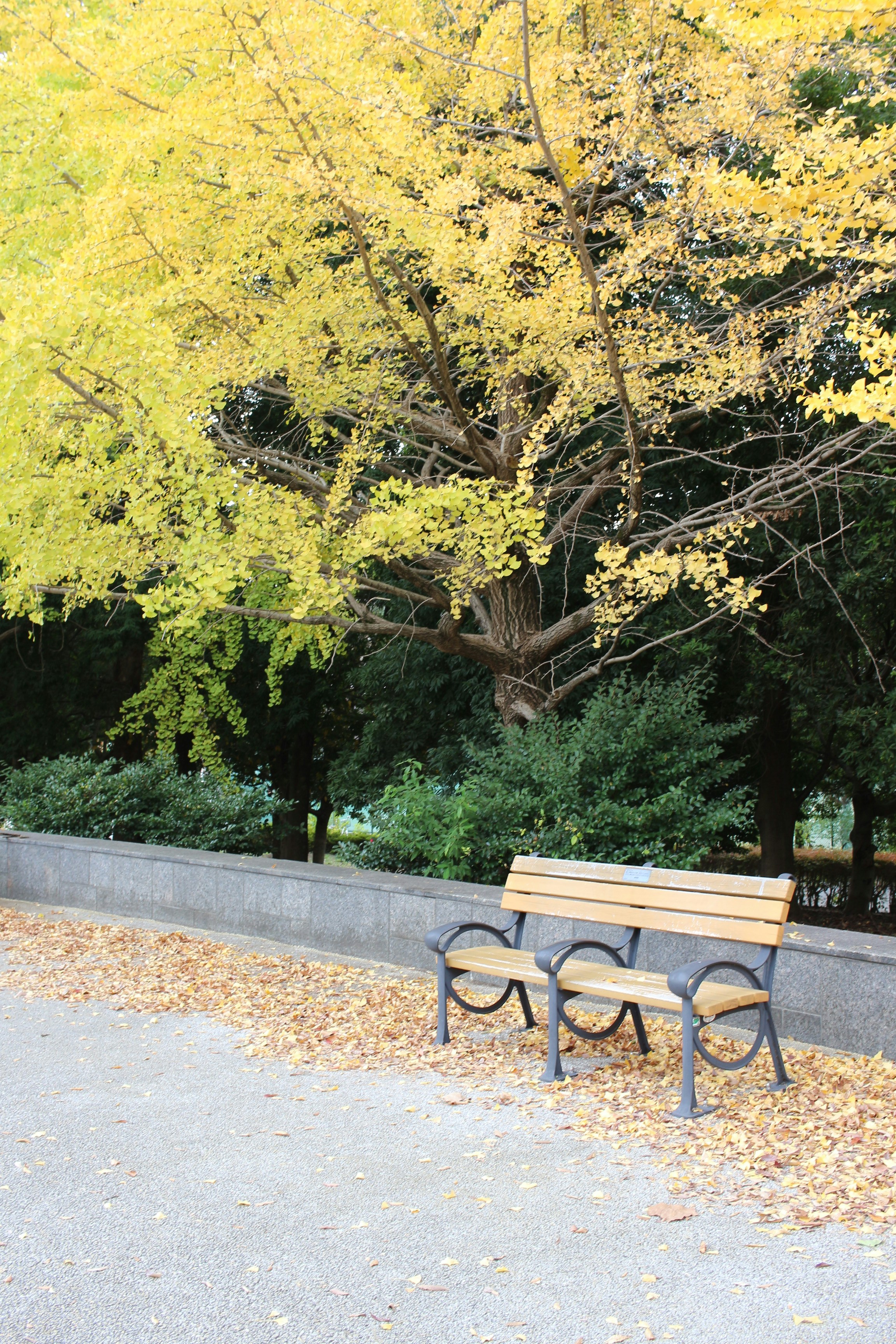 Photo by Florencia Gonzalez Bazzano with Canon EOS 700D