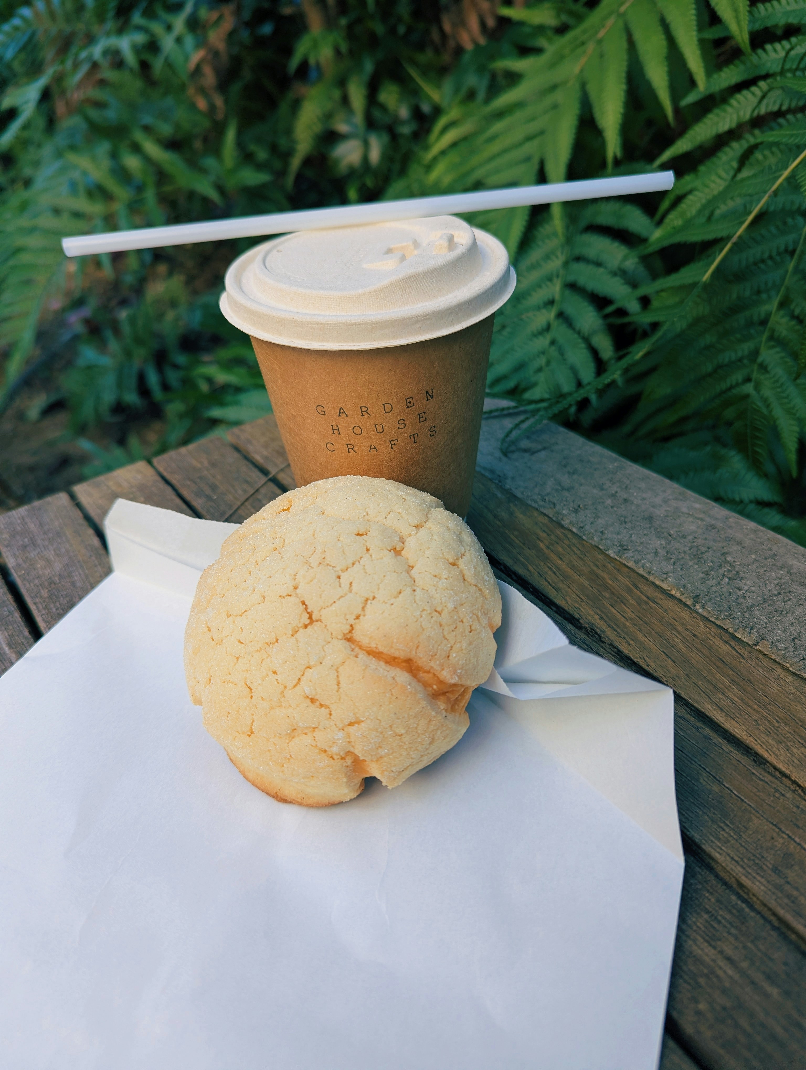 Cracked Cream Cookie and To-Go Coffee: A Quiet Outdoor Snack Moment