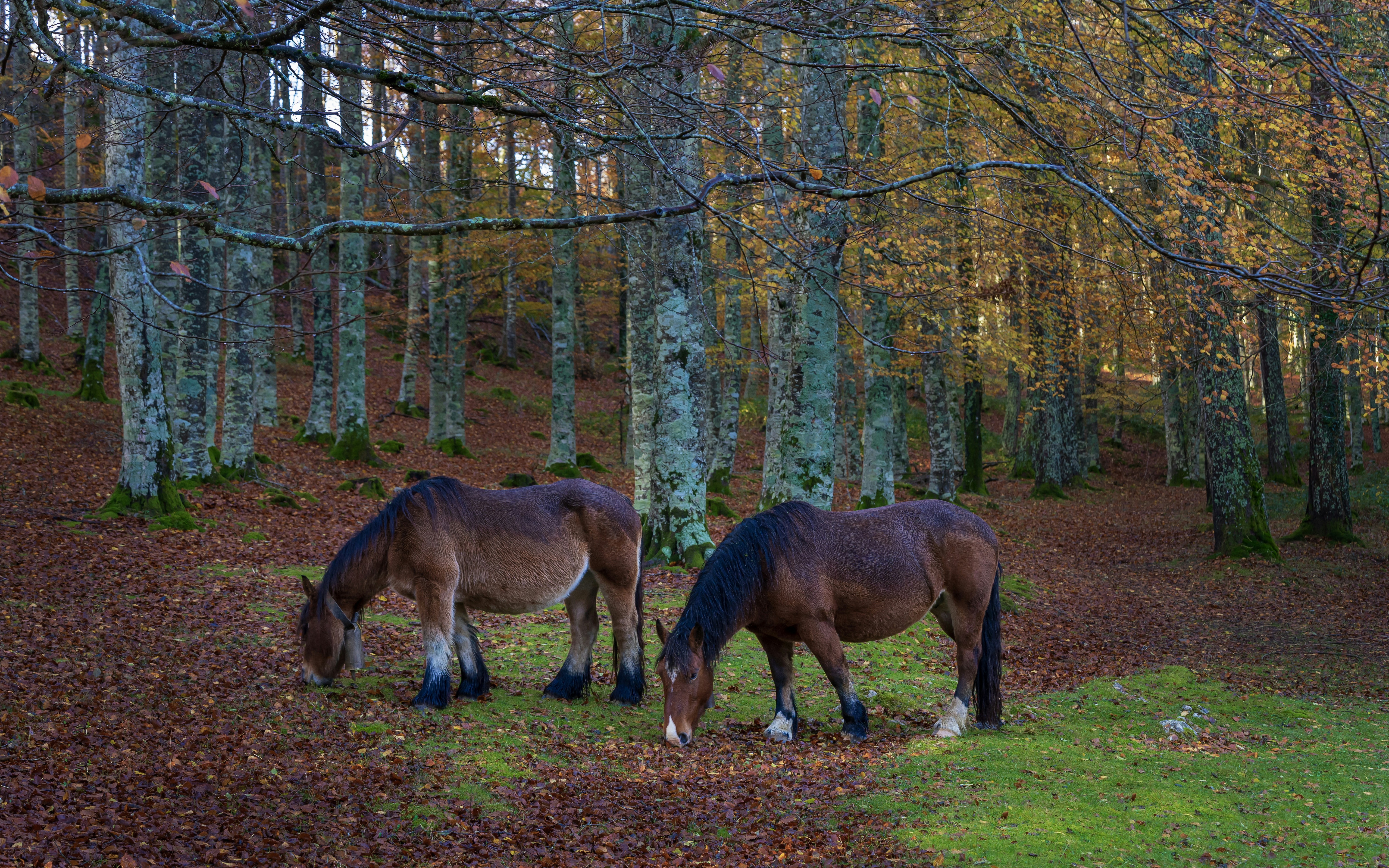 Photo by miguel garcia jimenez with Sony Alpha 7 II