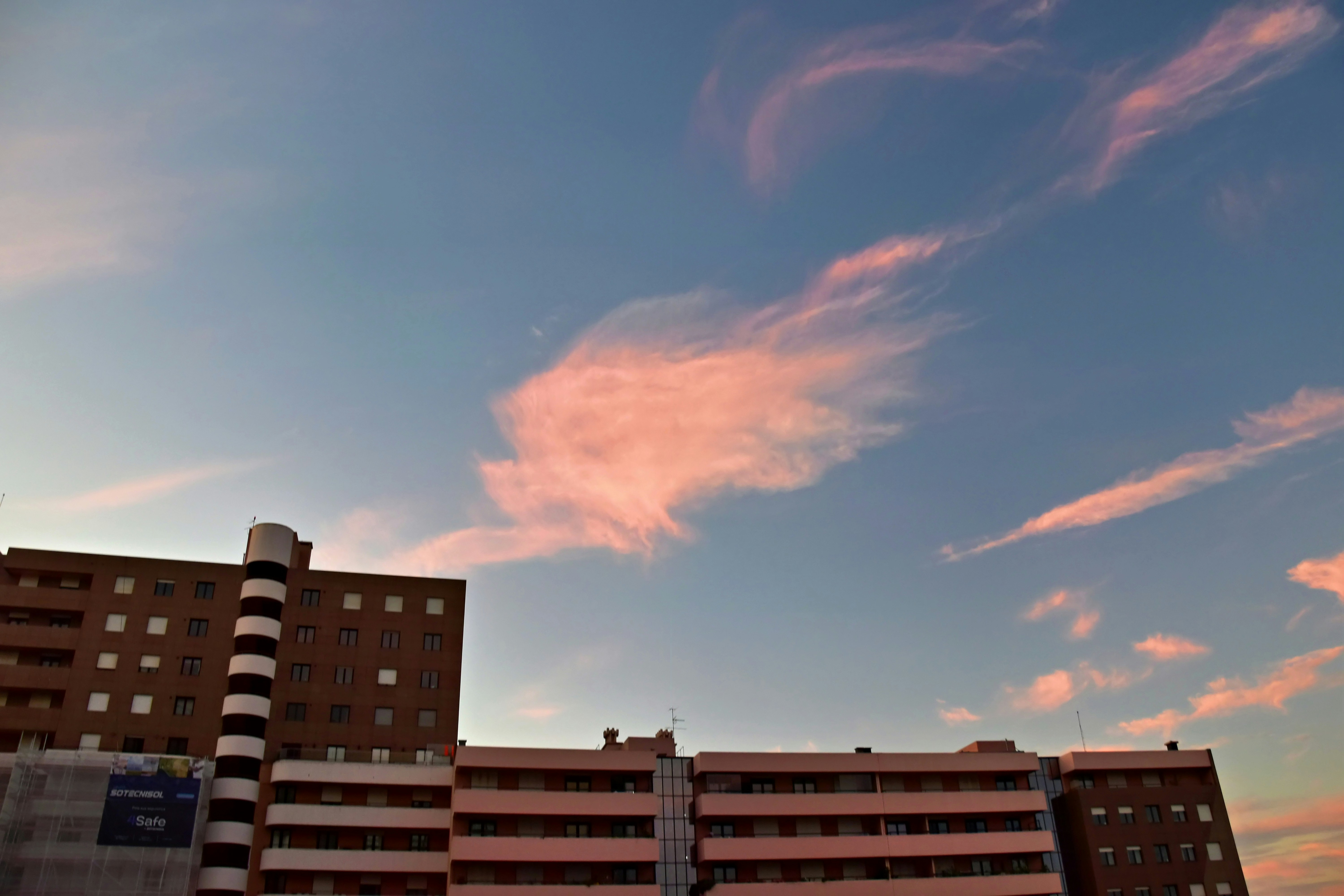 Photo by Jeffrey Eisen with Nikon D5600