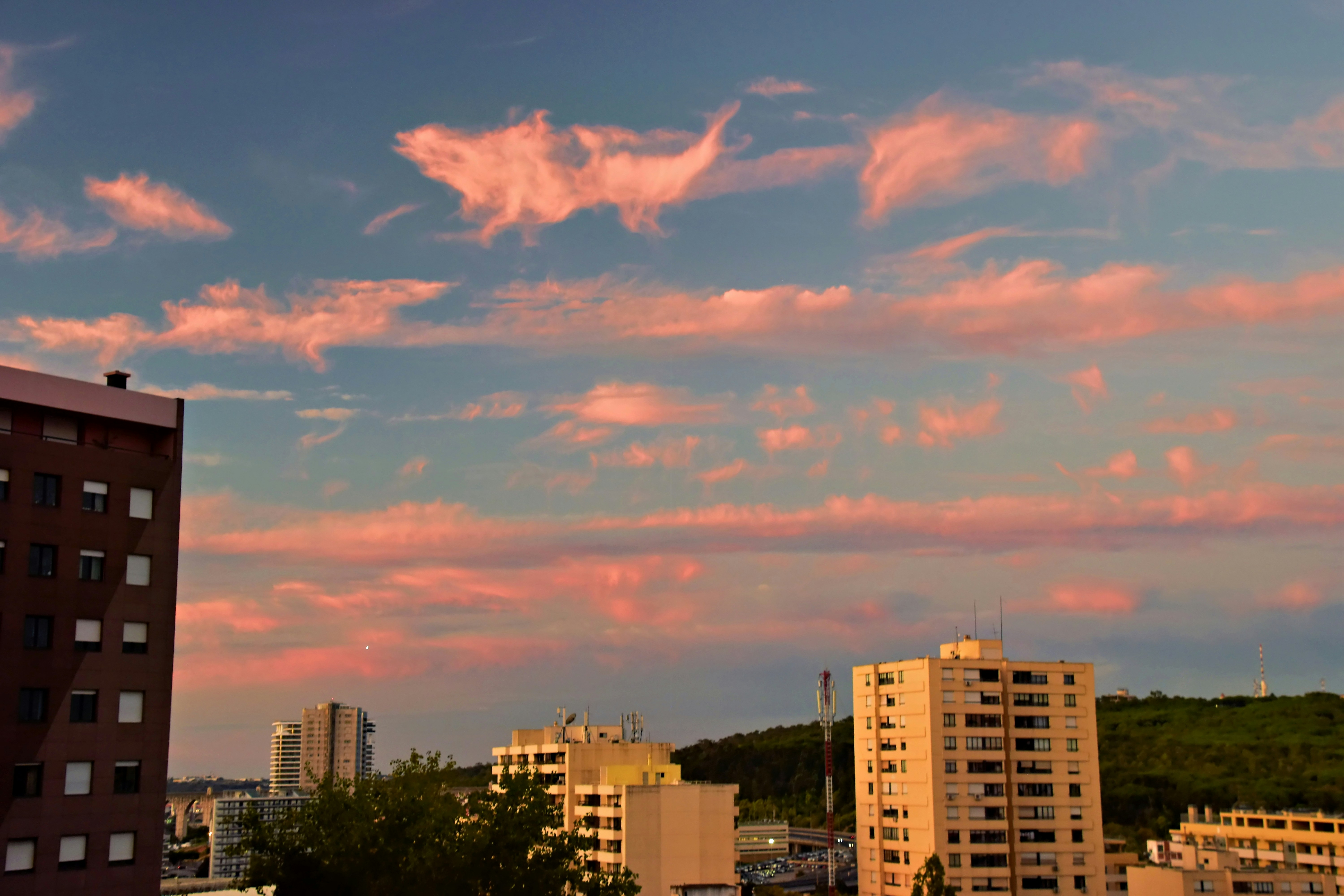 Dusk Over Coral Clouds: A Quiet City Skyline