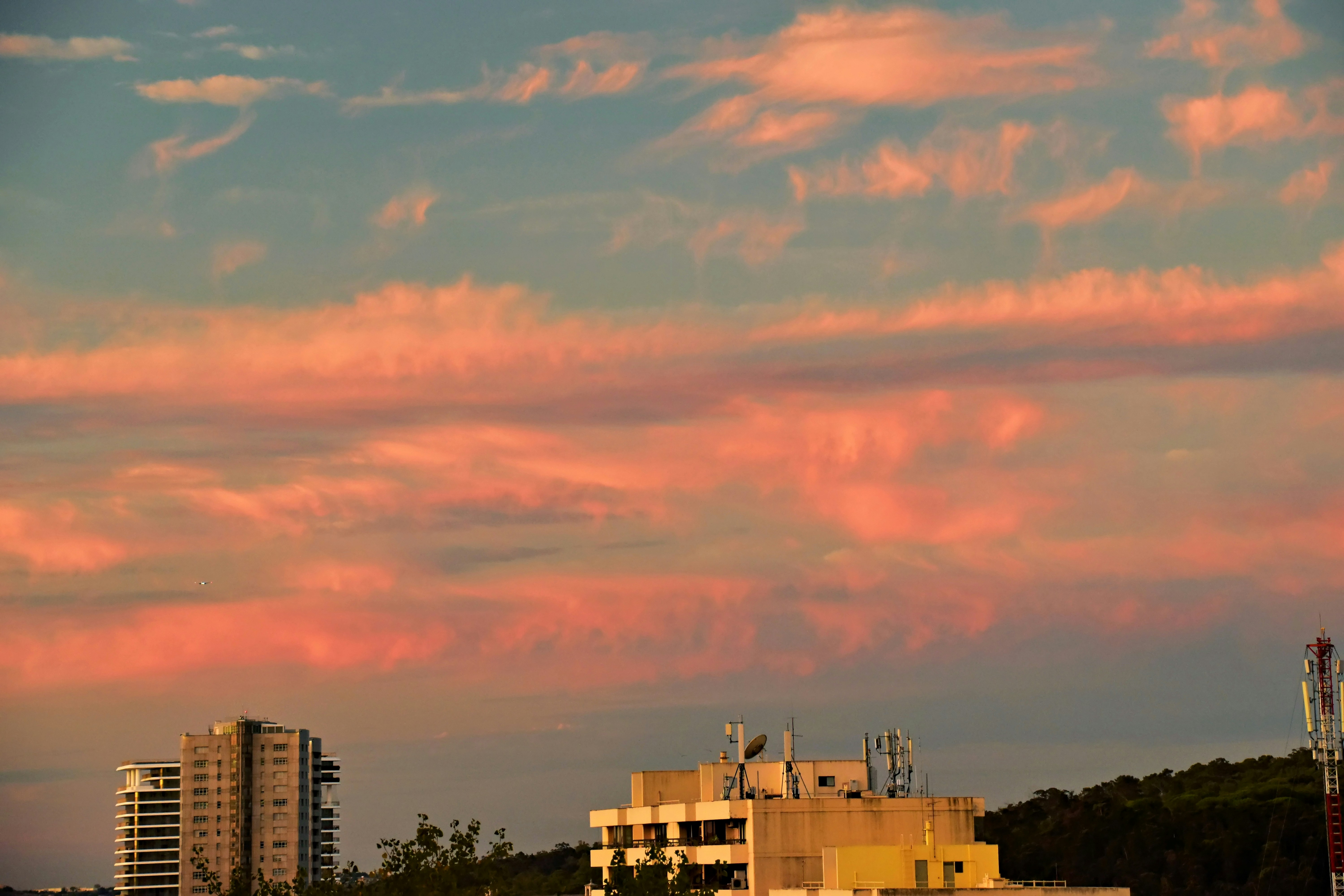 Photo by Jeffrey Eisen with Nikon D5600