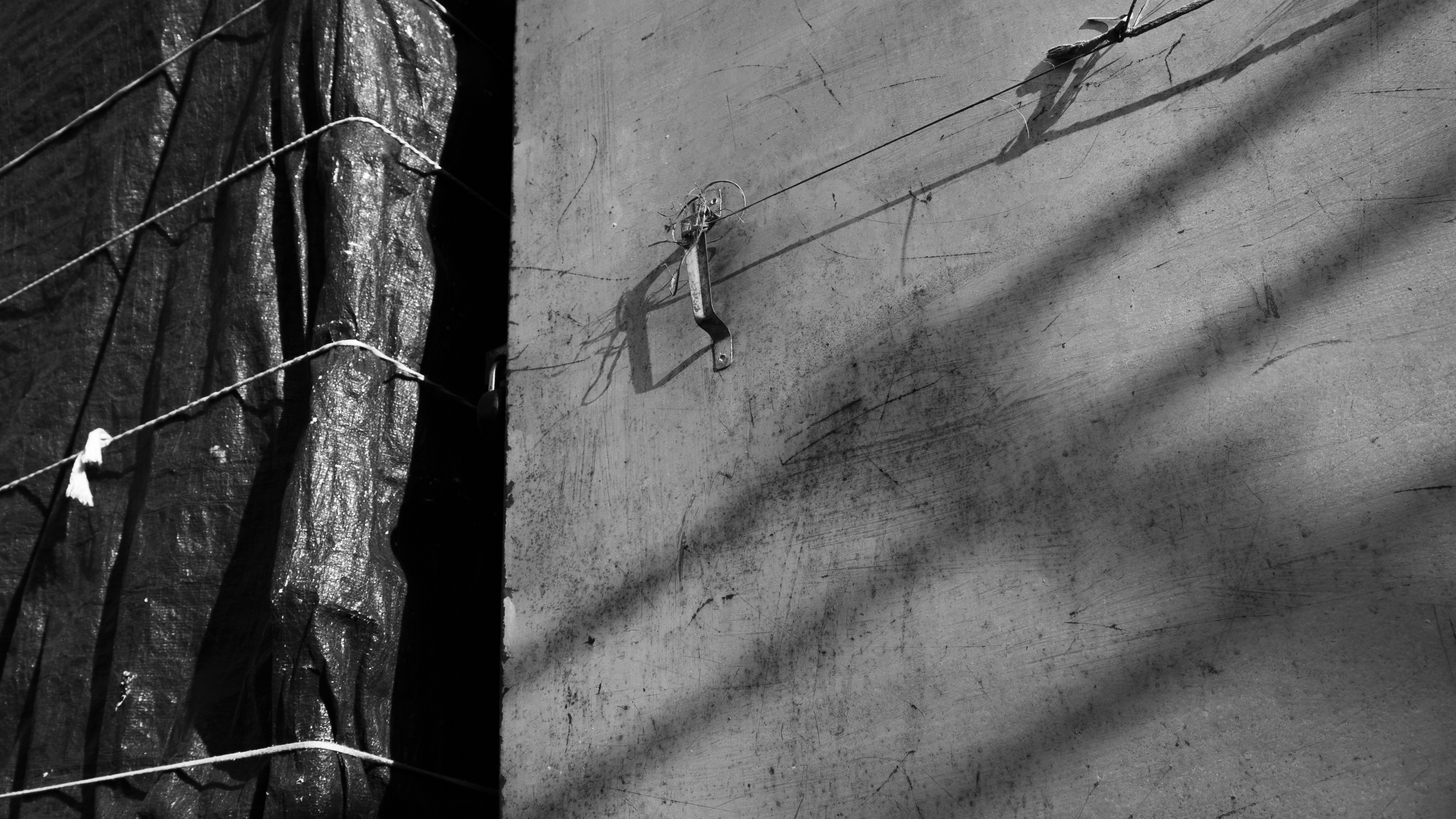 Photo by Surya Teja with Canon EOS R10