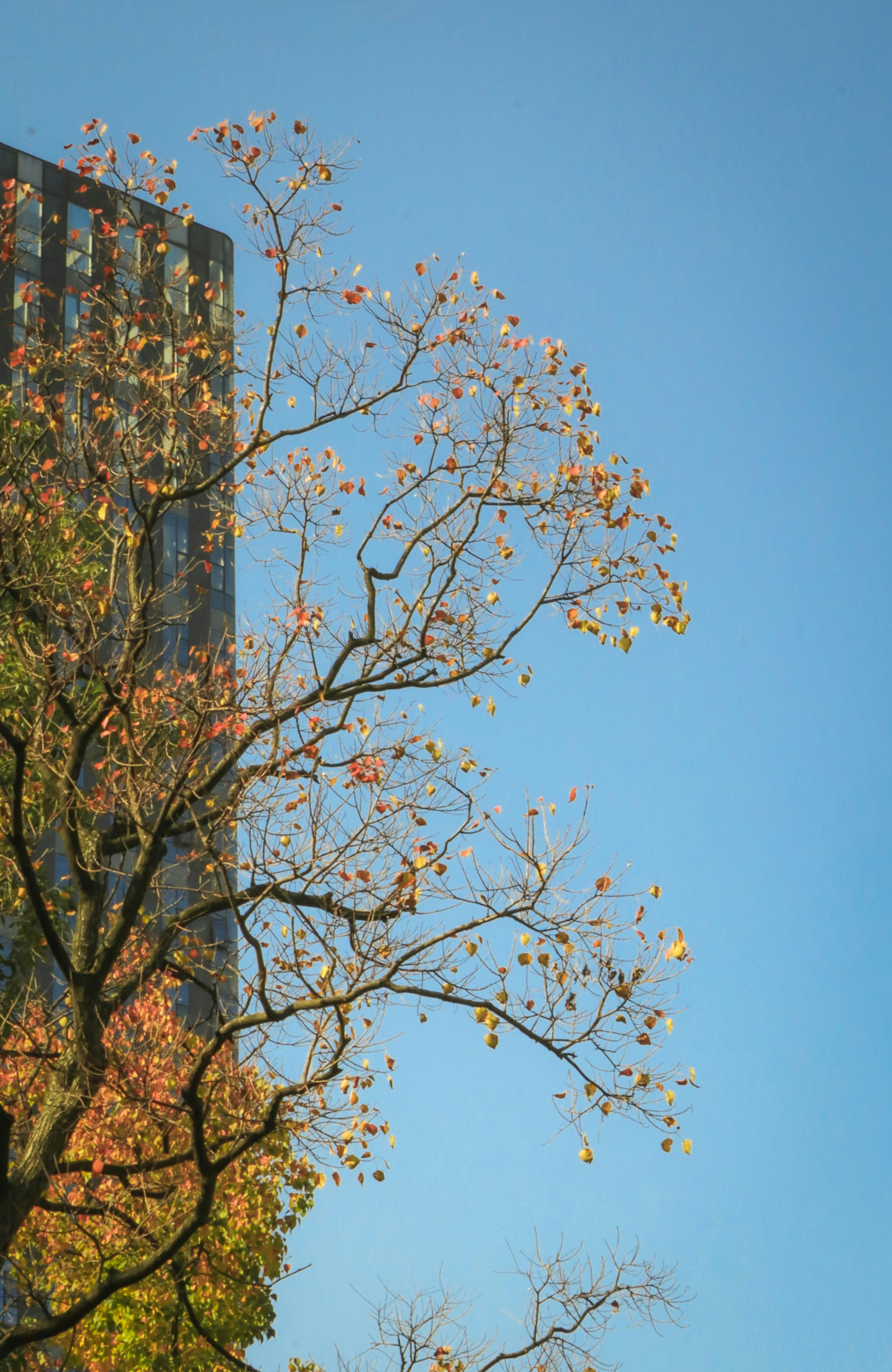 Photo by Teddy Lin with Canon EOS R100