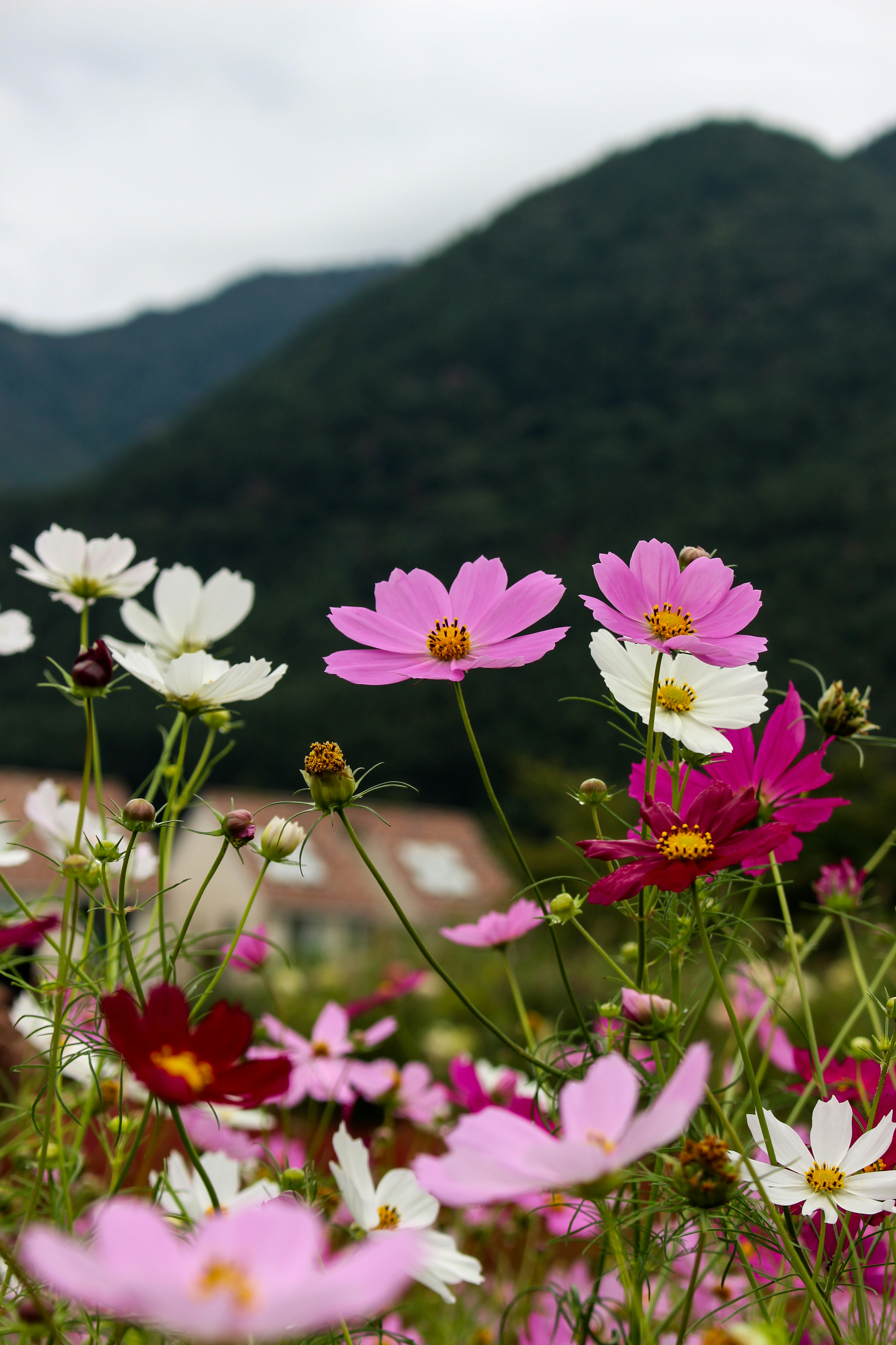 Photo by Kate Wells with Canon EOS 700D