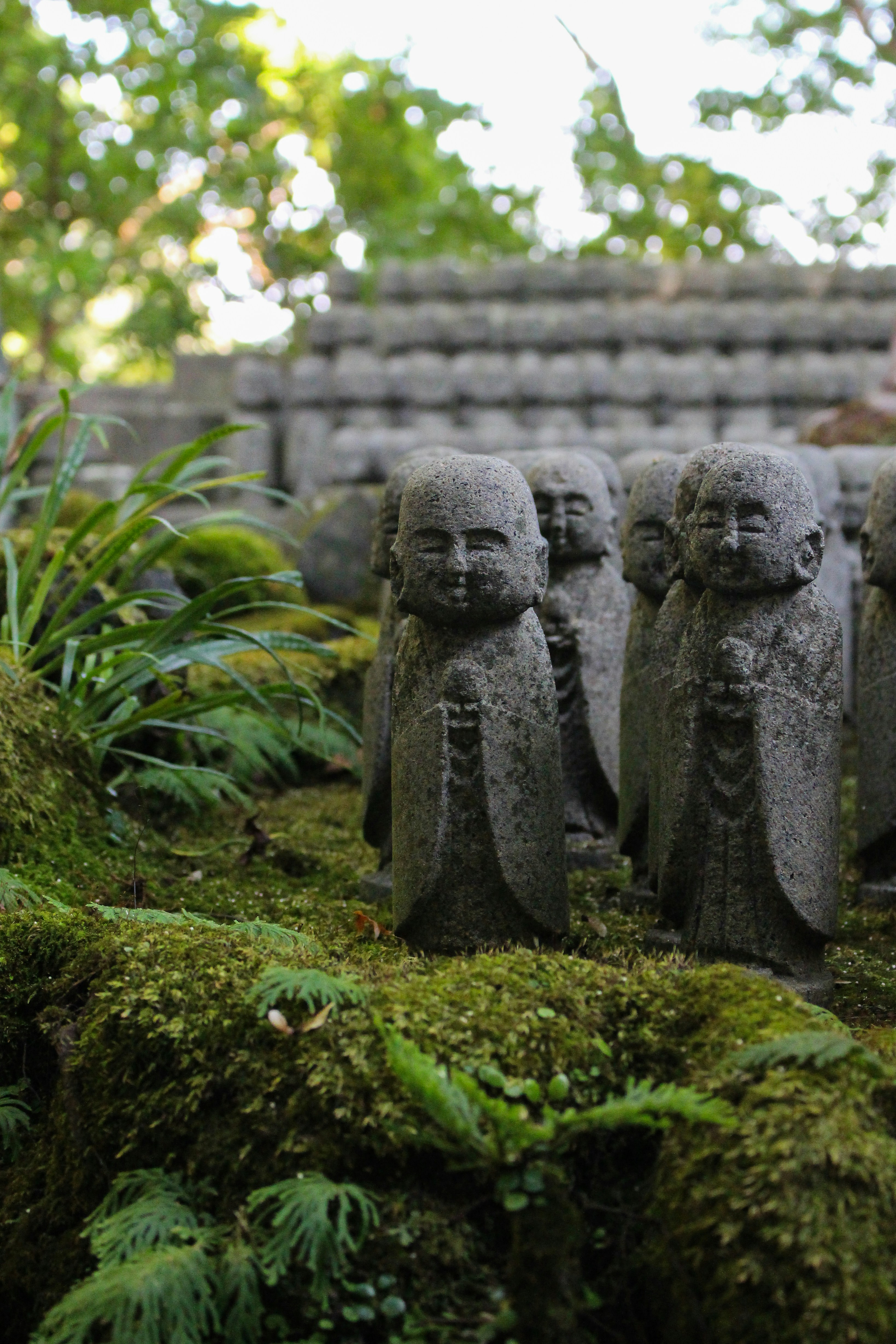 Photo by Kate Wells with Canon EOS 700D