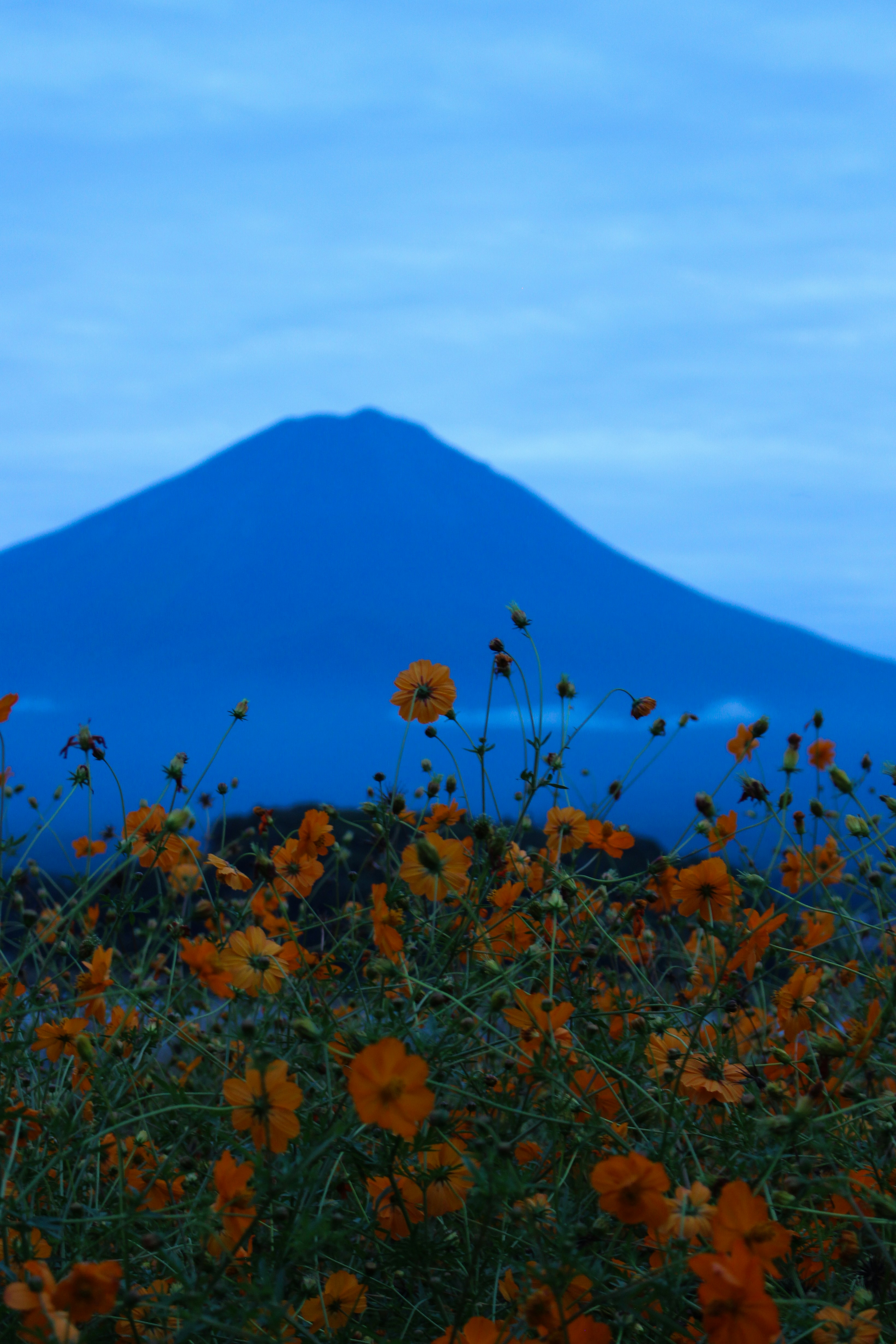 Photo by Kate Wells with Canon EOS 700D