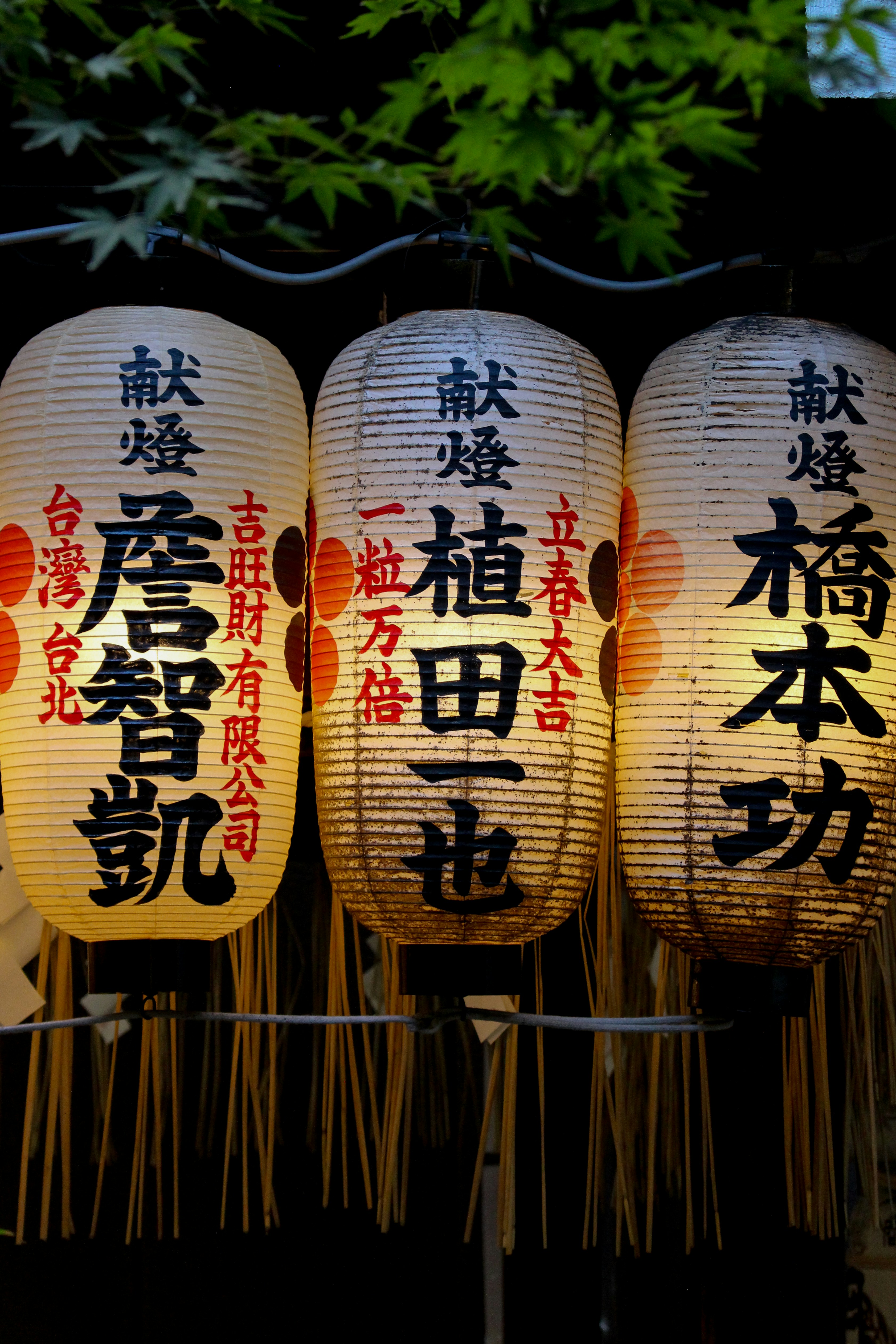 Row of Backlit Lanterns: Bold Kanji in a Night Market Glow