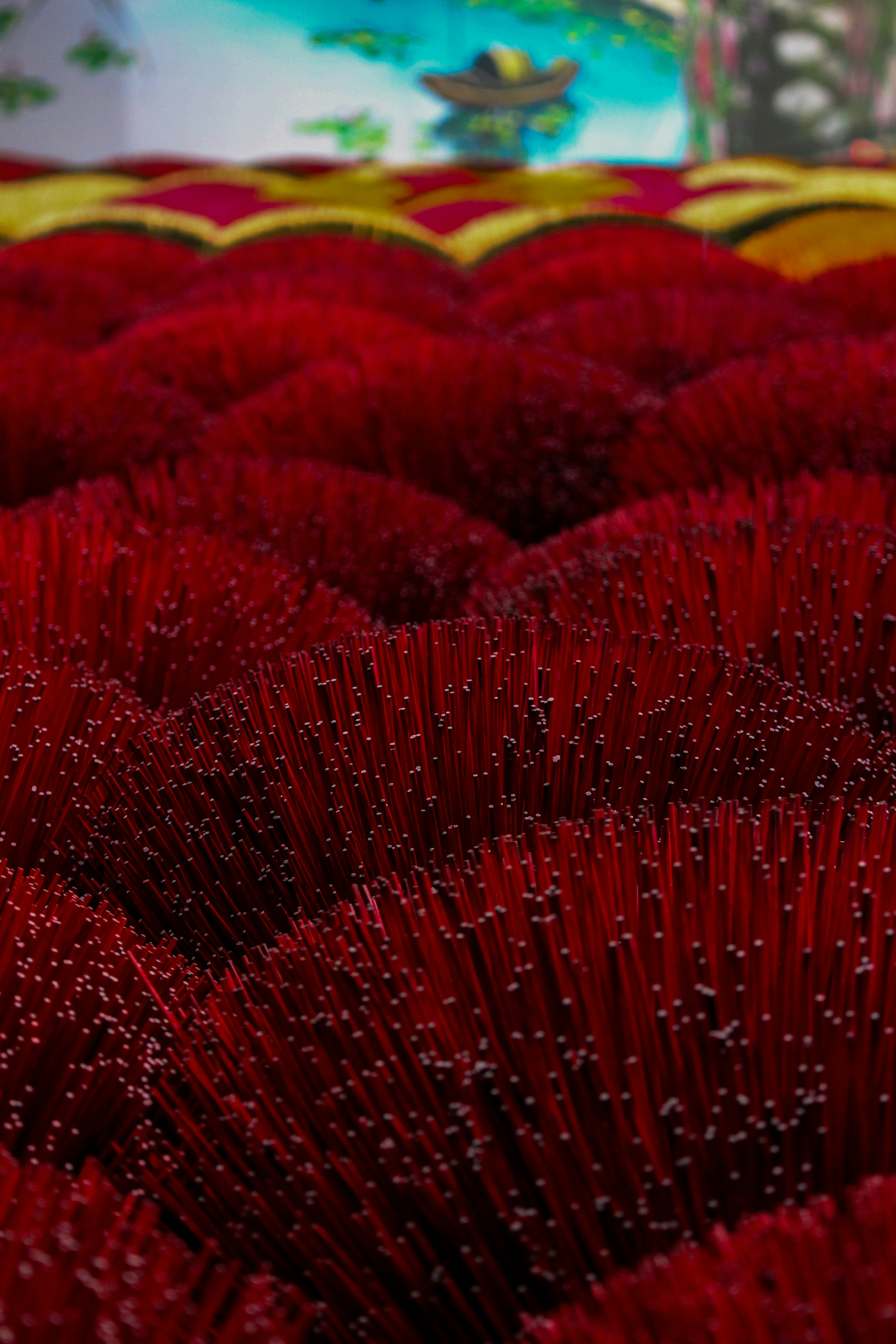 Photo by Kate Wells with Canon EOS 700D