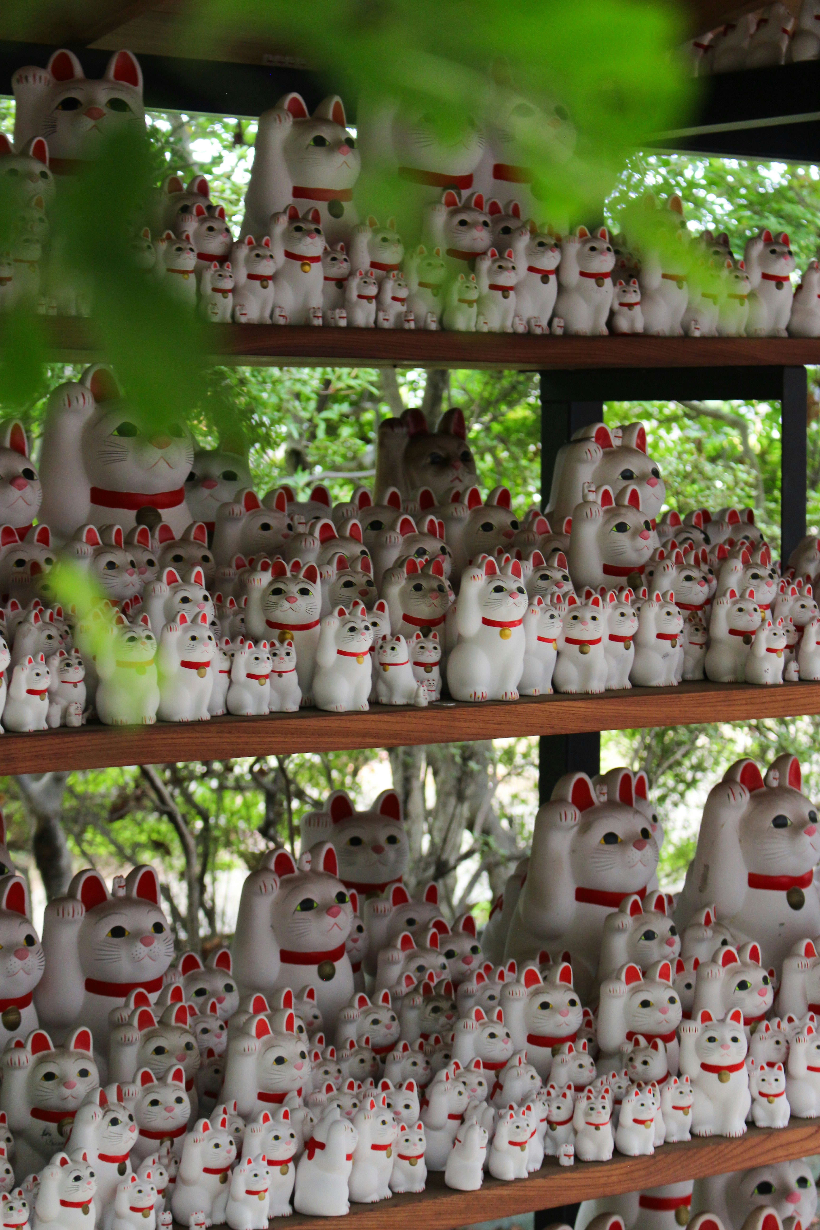 Photo by Kate Wells with Canon EOS 700D