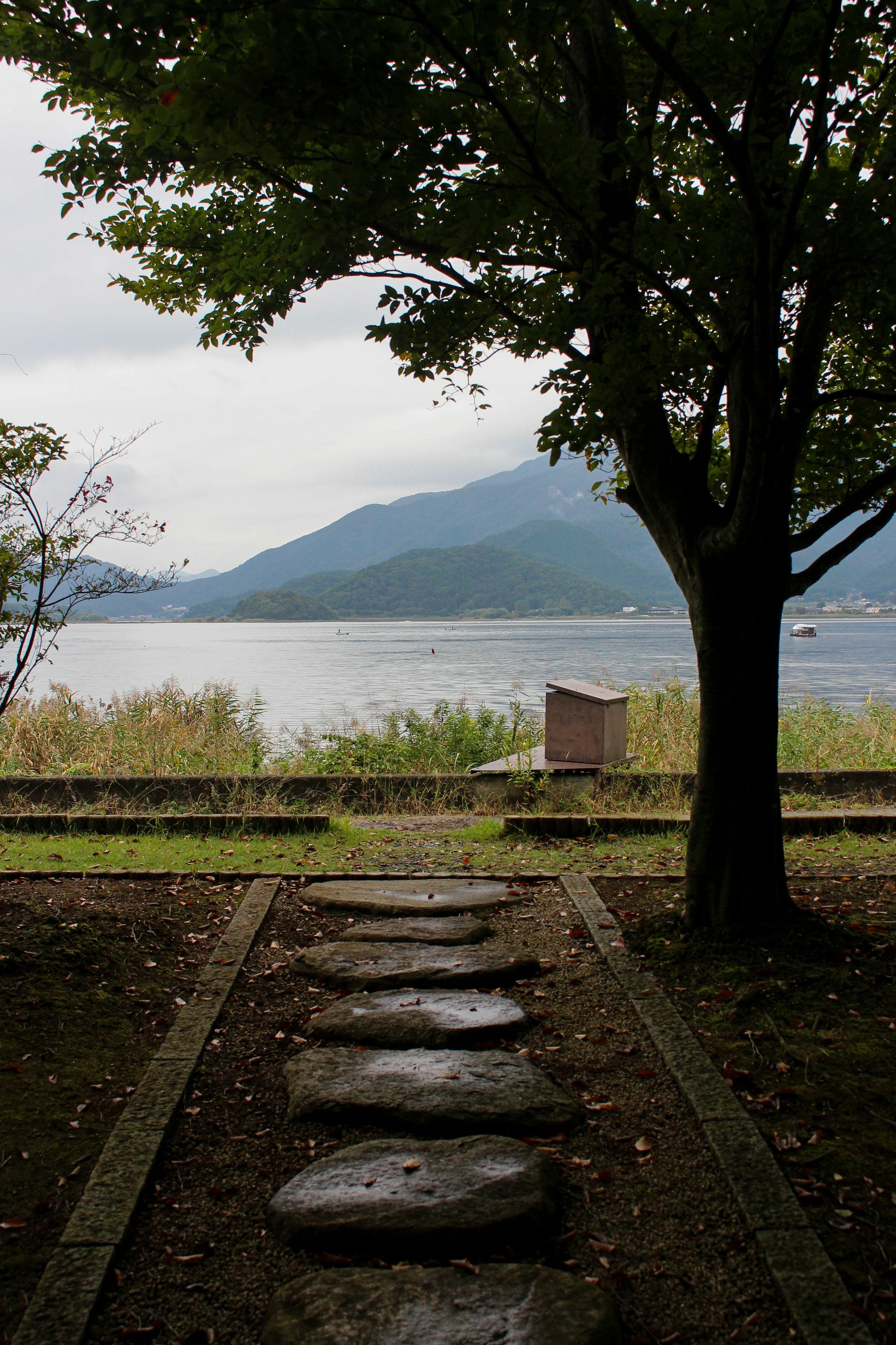 Photo by Kate Wells with Canon EOS 700D