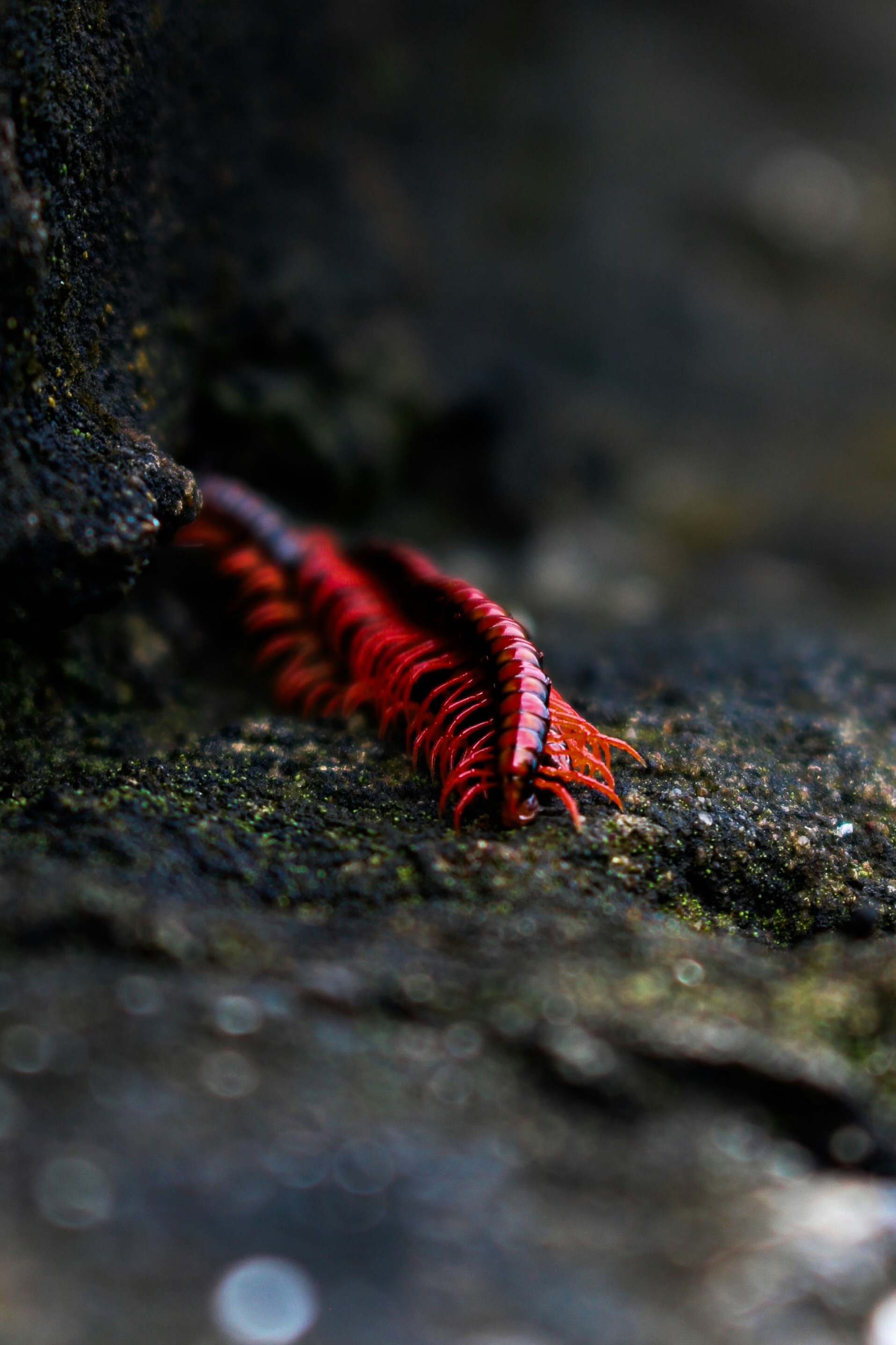 Photo by Kate Wells with Canon EOS 700D