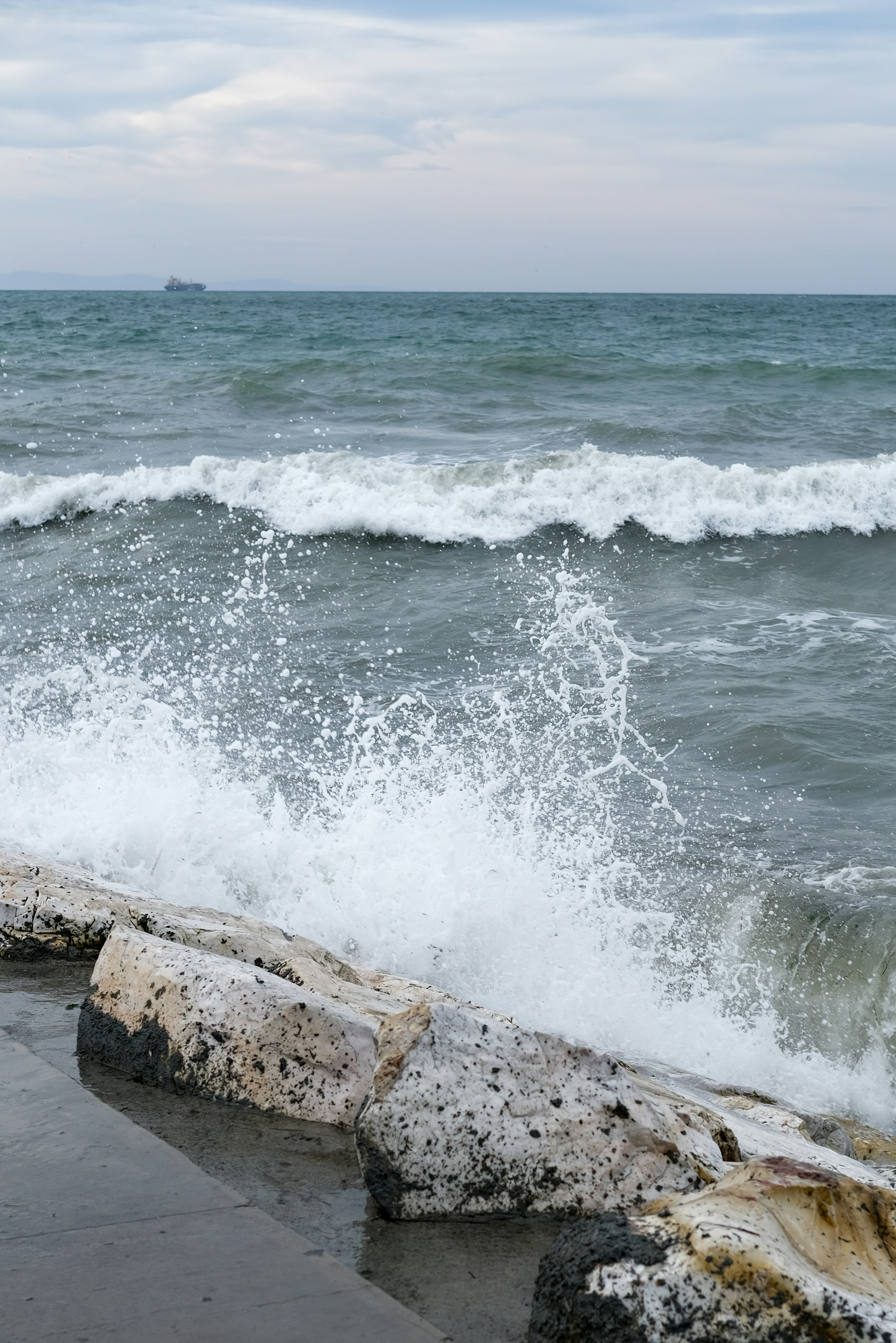 Photo by Esra Afşar with Fujifilm X-T4