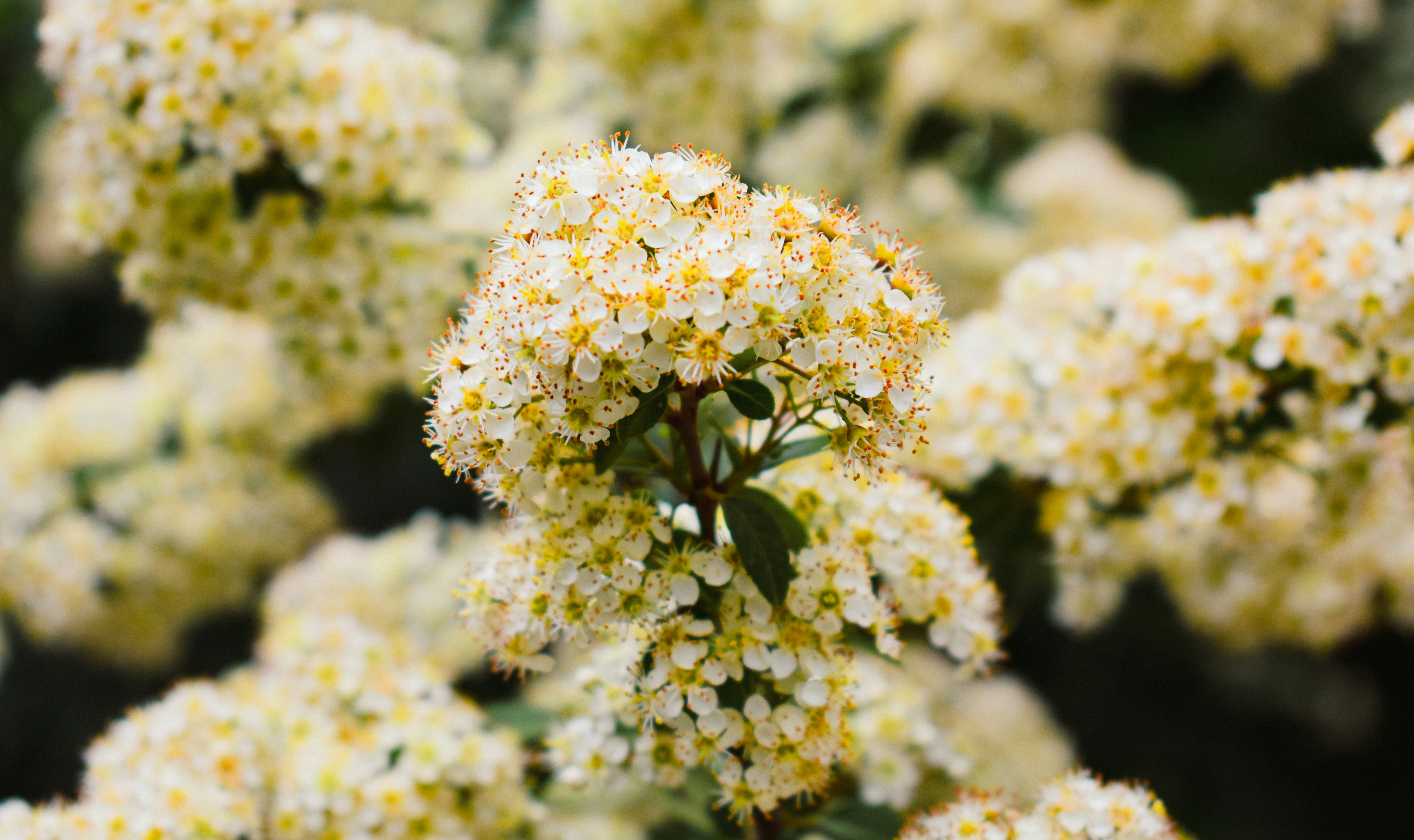 Photo by Mehrpouya H with Nikon D3400