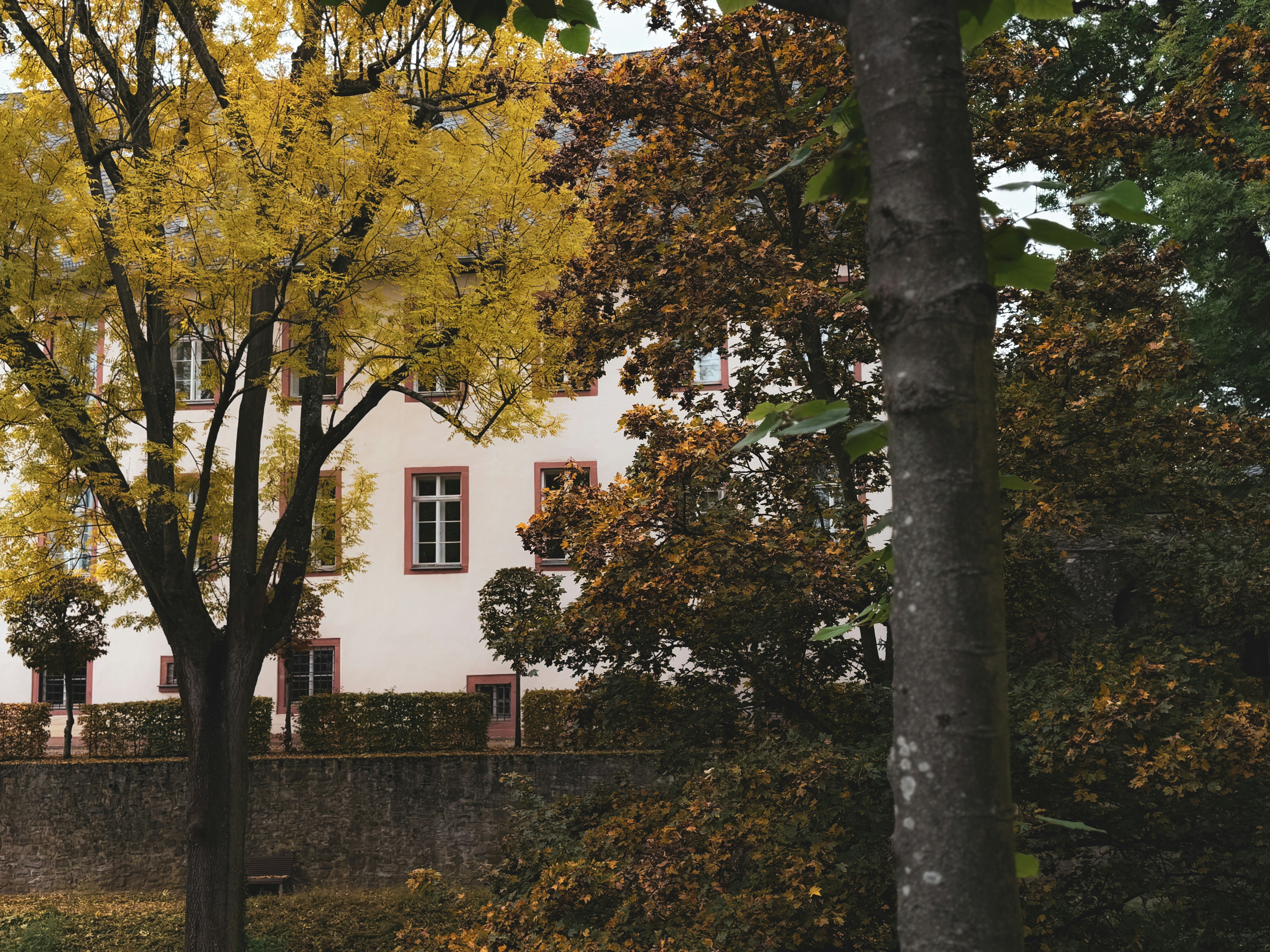 Photo by Azmar Aso with Apple iPhone 16 Pro Max