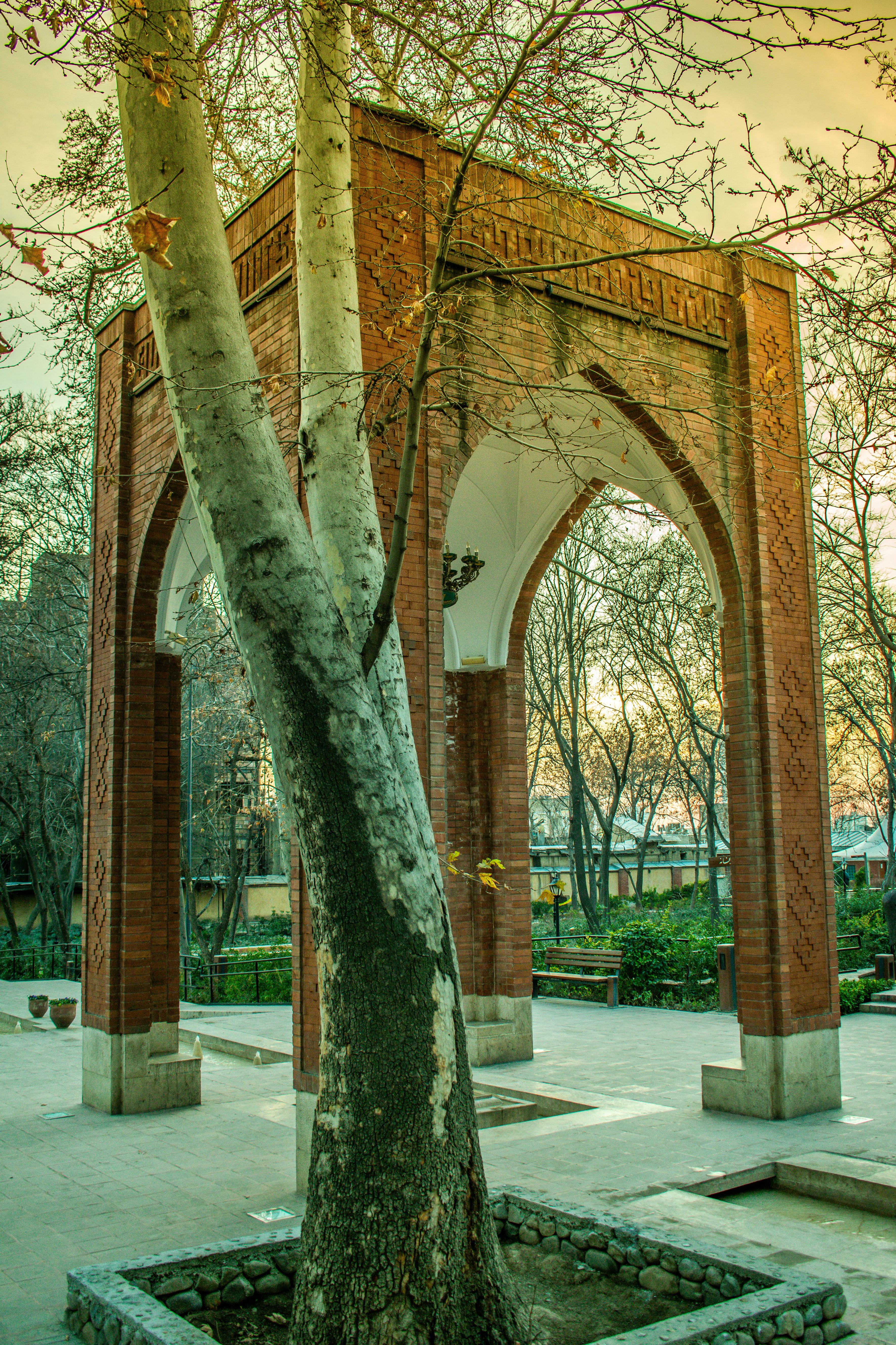Between Branches and Brick: The Quiet Arch in a Park