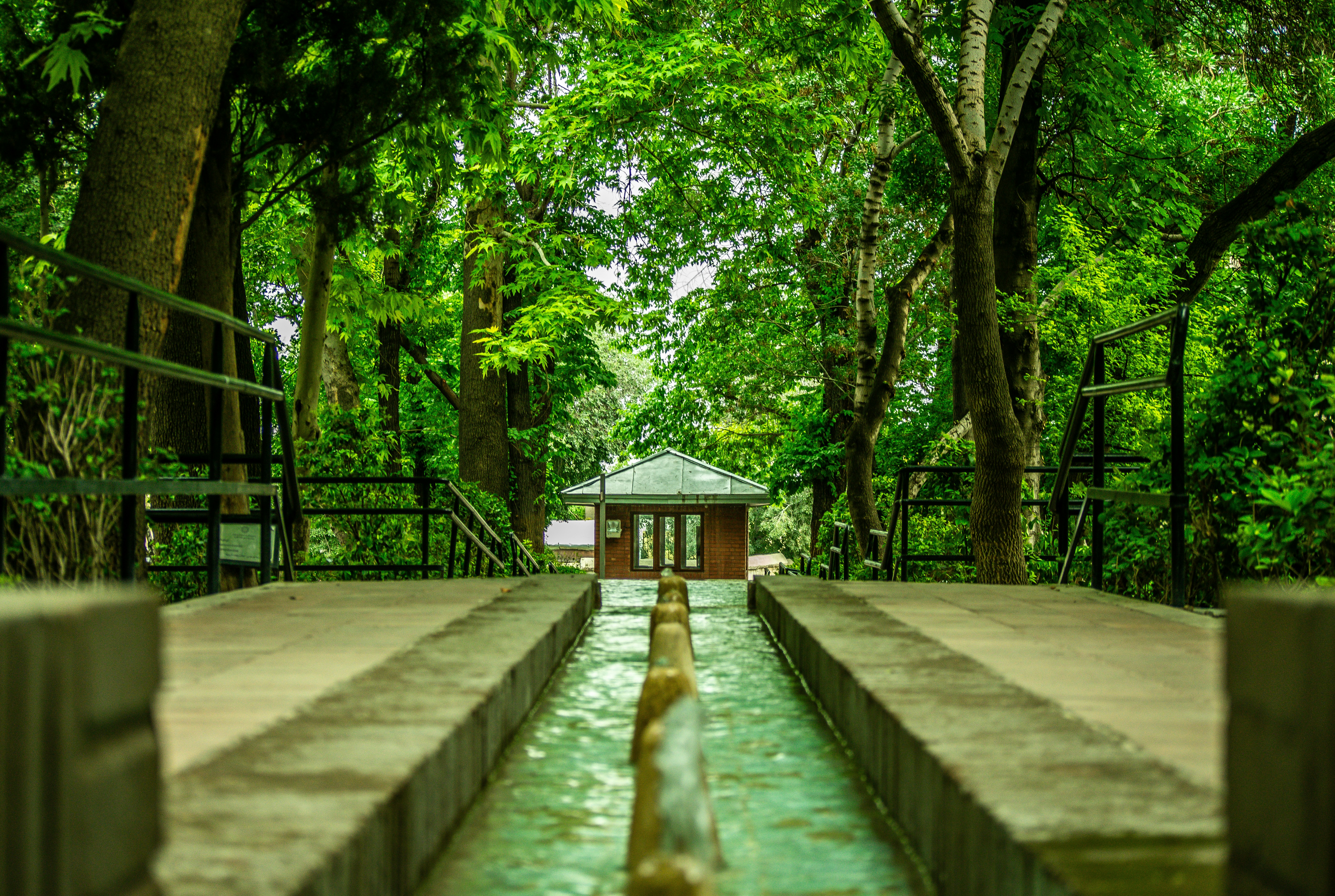 Photo by Mehrpouya H with Nikon D3400