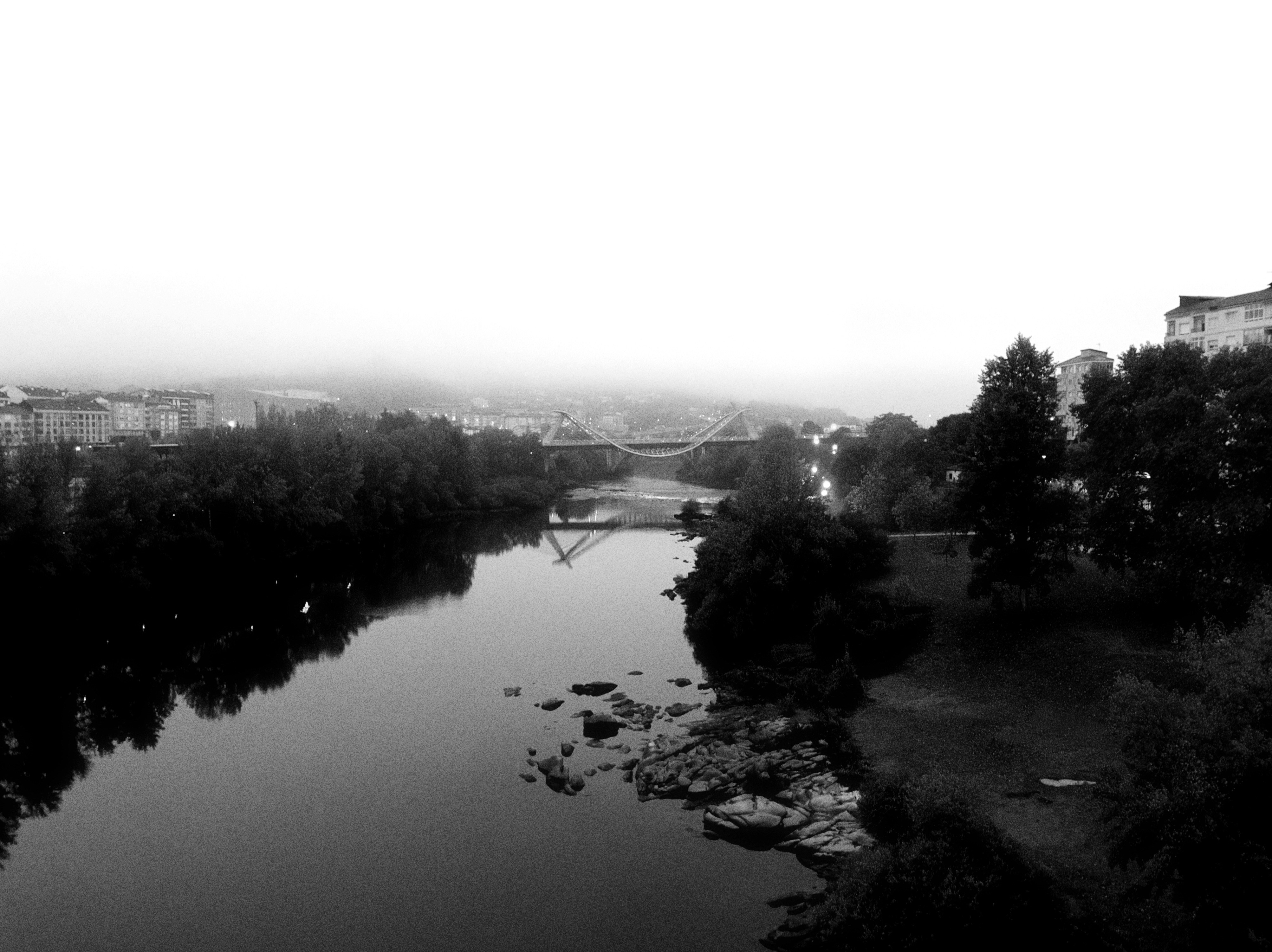 Monochrome Riverside: Bridge Emerges from Morning Mist