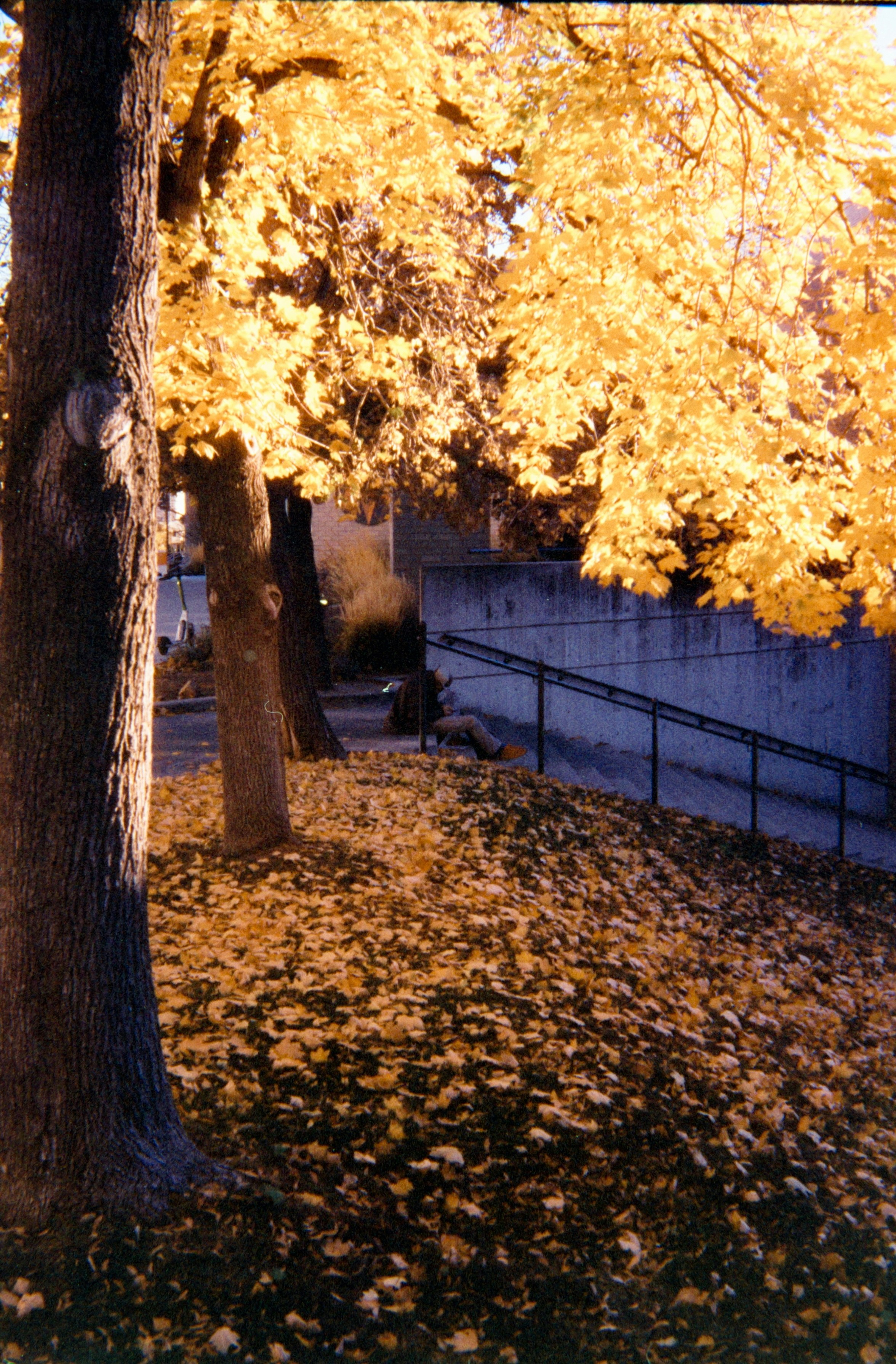 Photo by Spencer Plouzek with Sony Alpha 7C