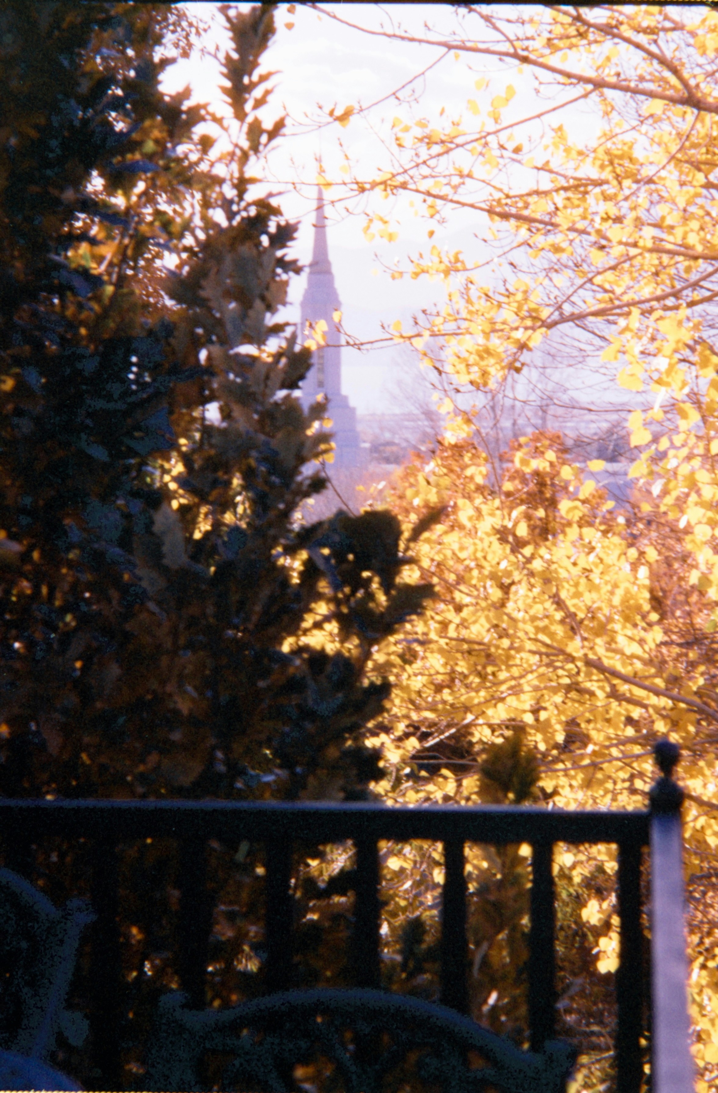 Photo by Spencer Plouzek with Sony Alpha 7C