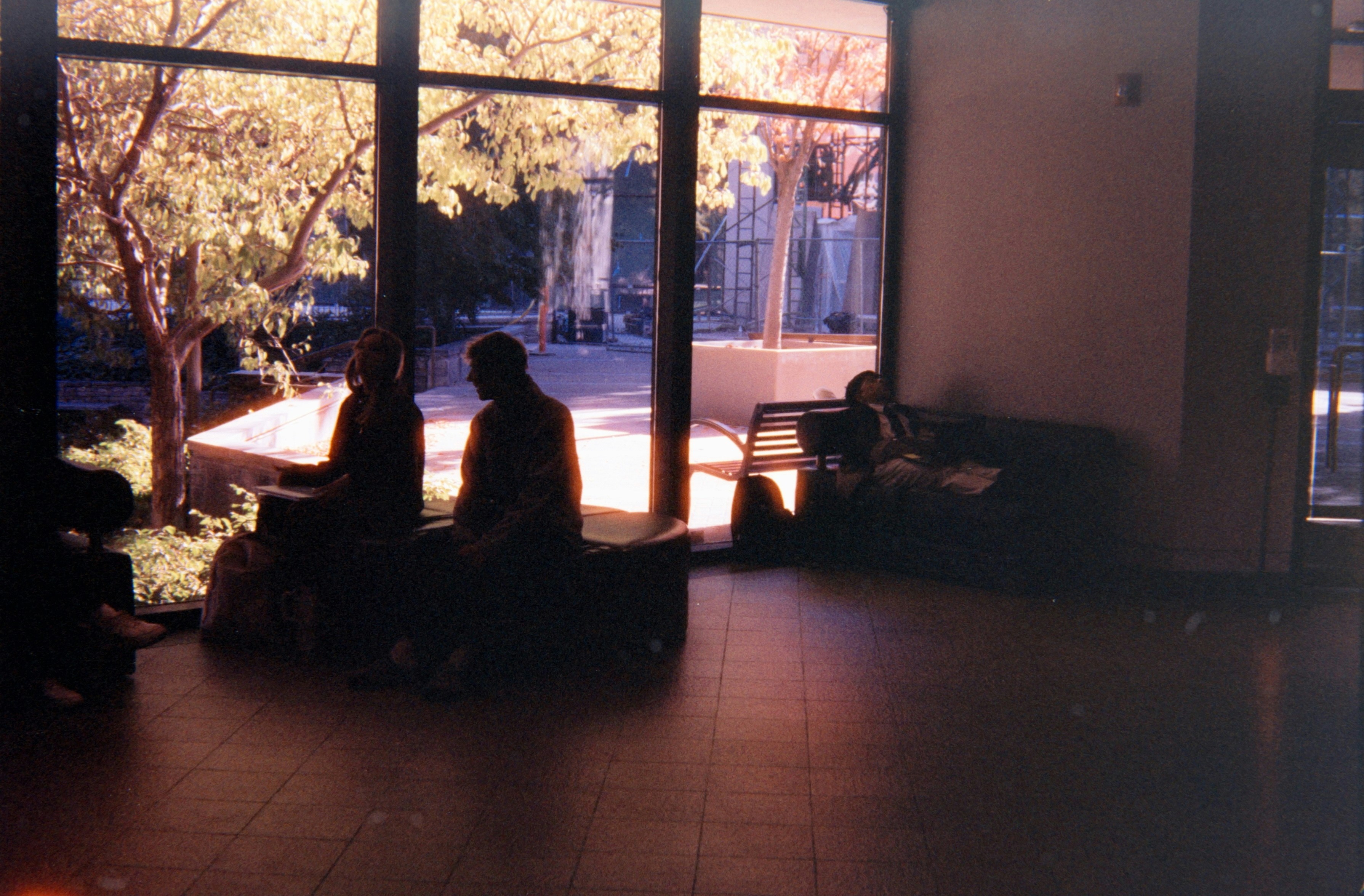 Photo by Spencer Plouzek with Sony Alpha 7C