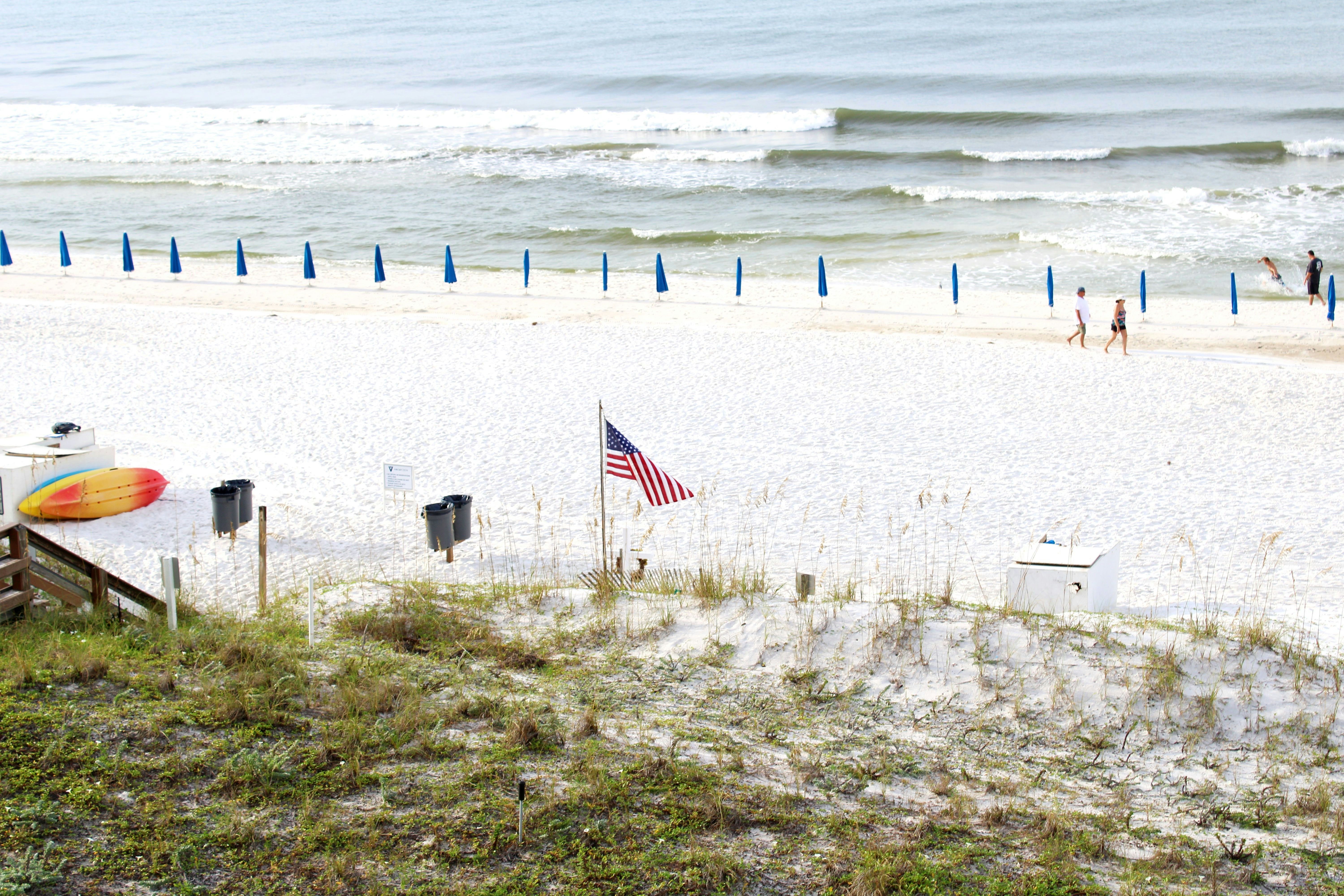 Photo by paige bennet with Canon EOS 2000D