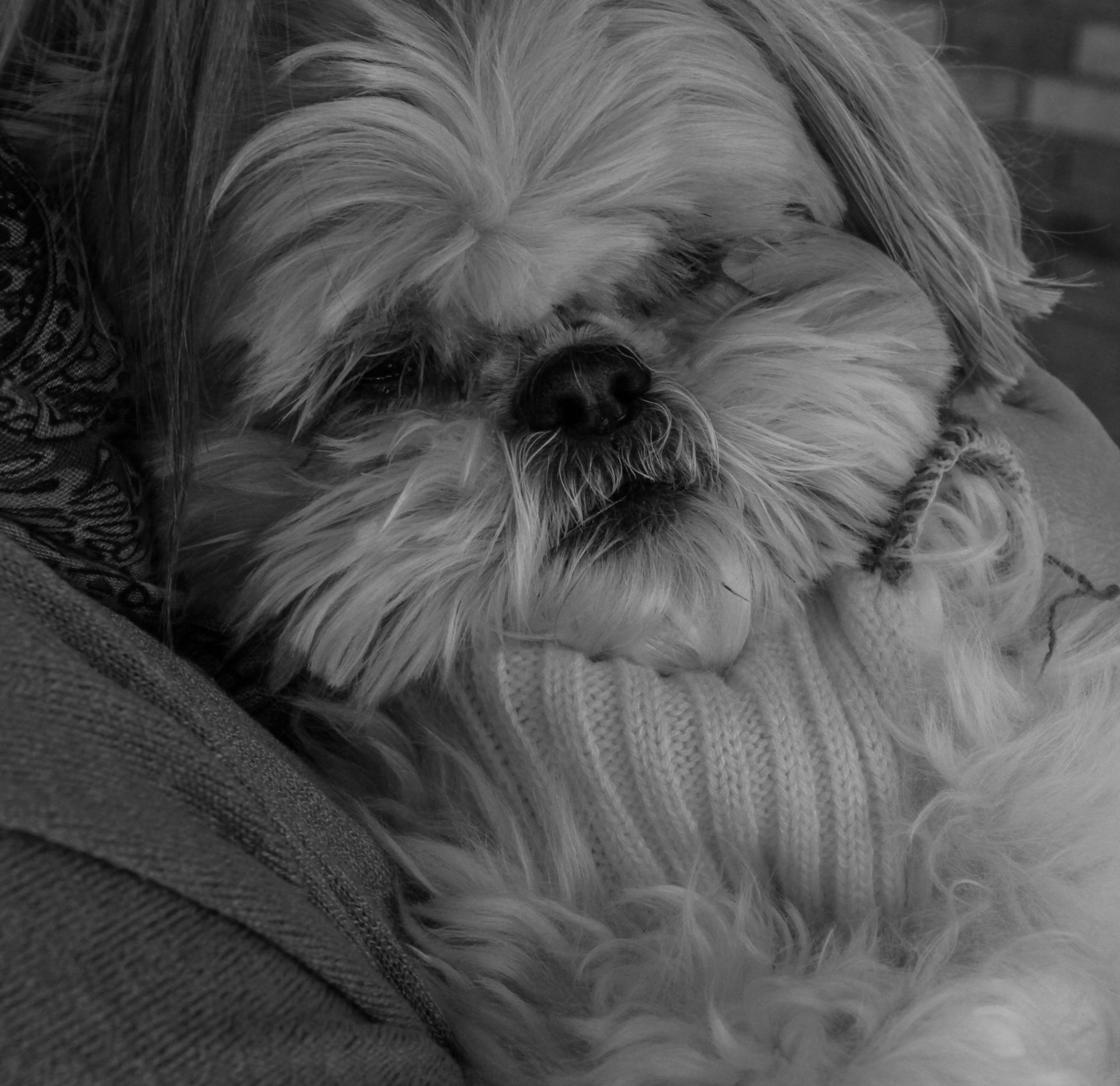 Photo by Meagan Barr with Canon EOS 7D