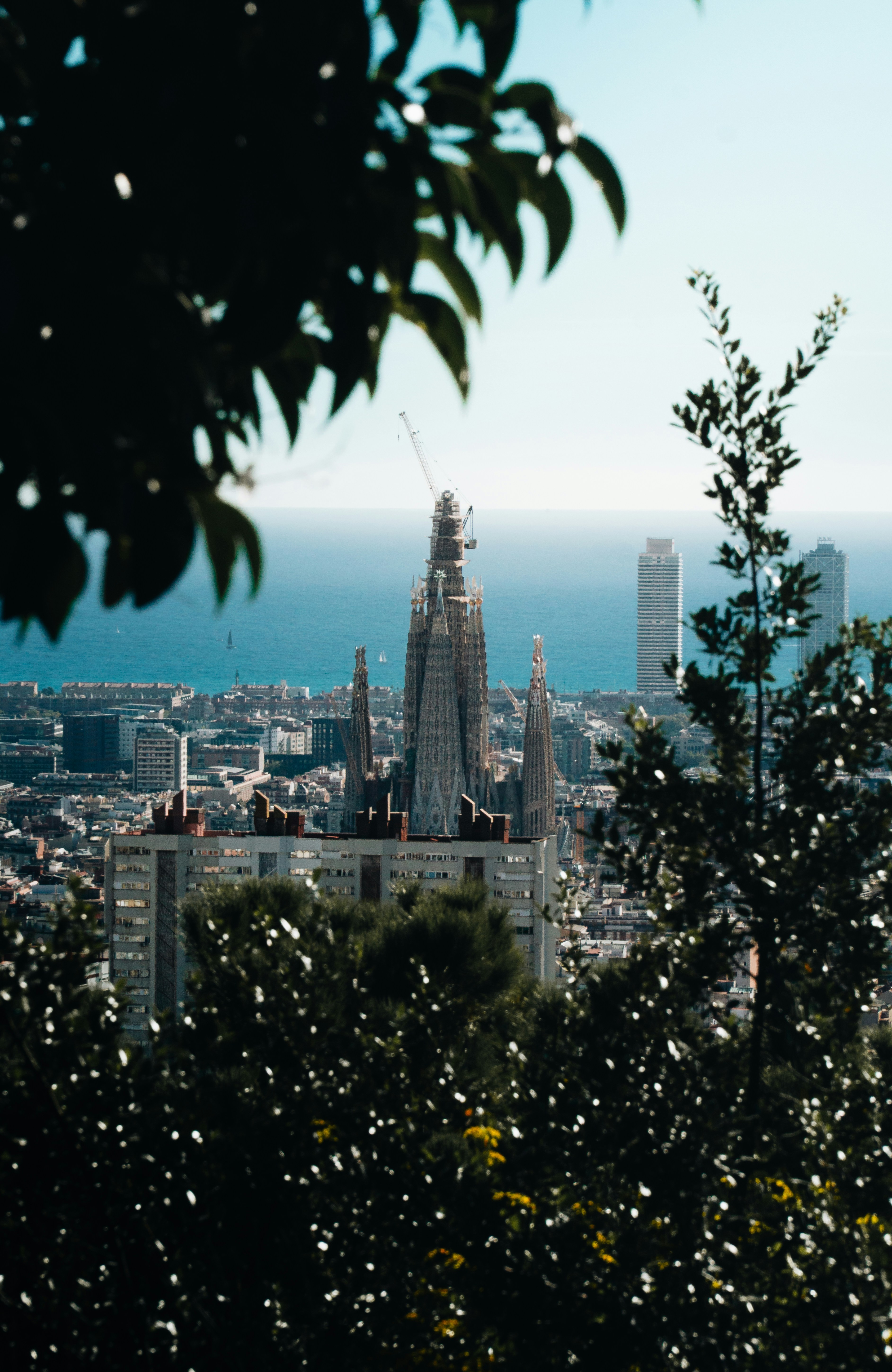 Photo by Bak Dávid with Sony Alpha 6000