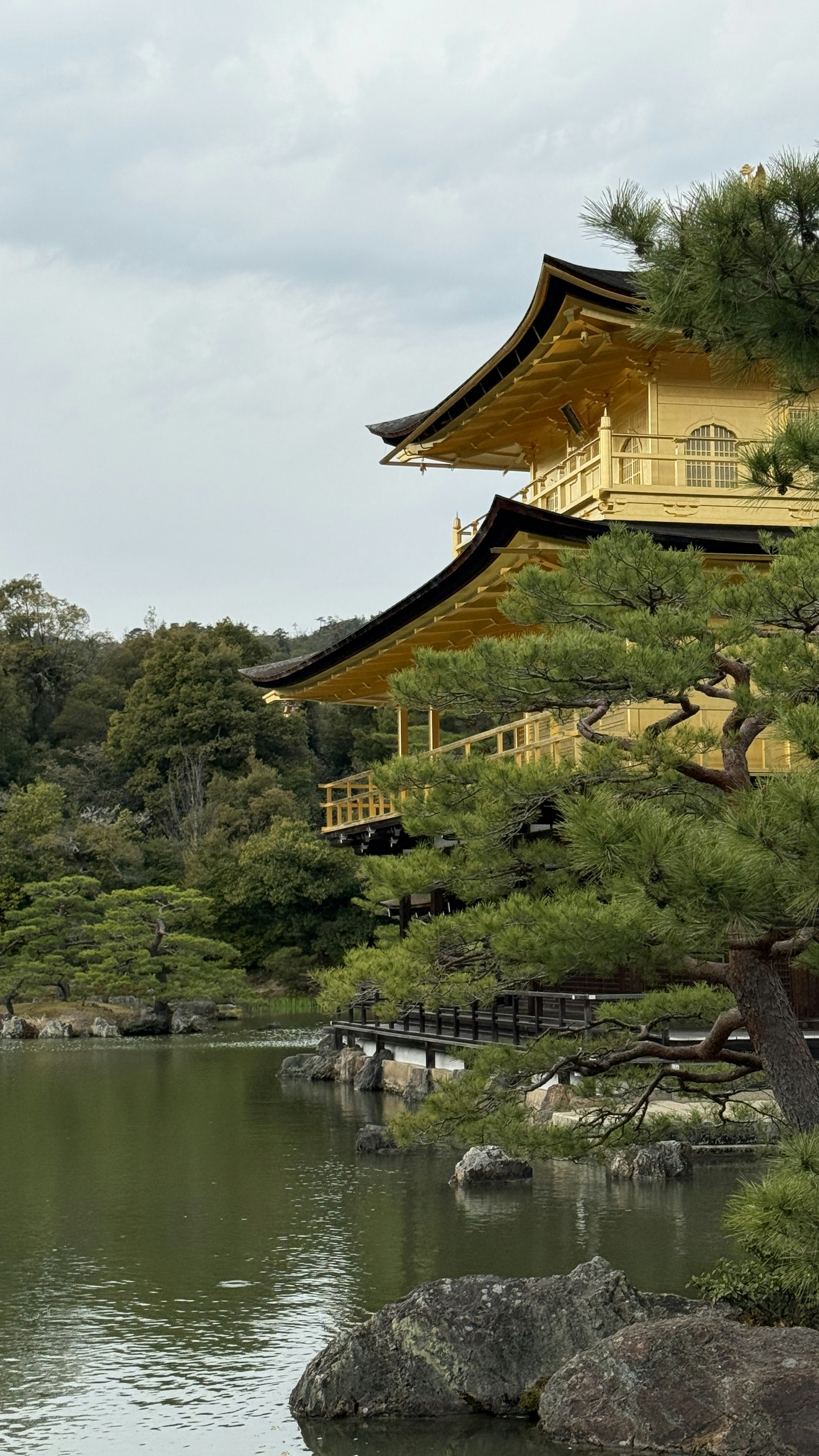 Golden Pavilion in Soft Light: Kyoto’s Kinkaku-ji Framed by Pines