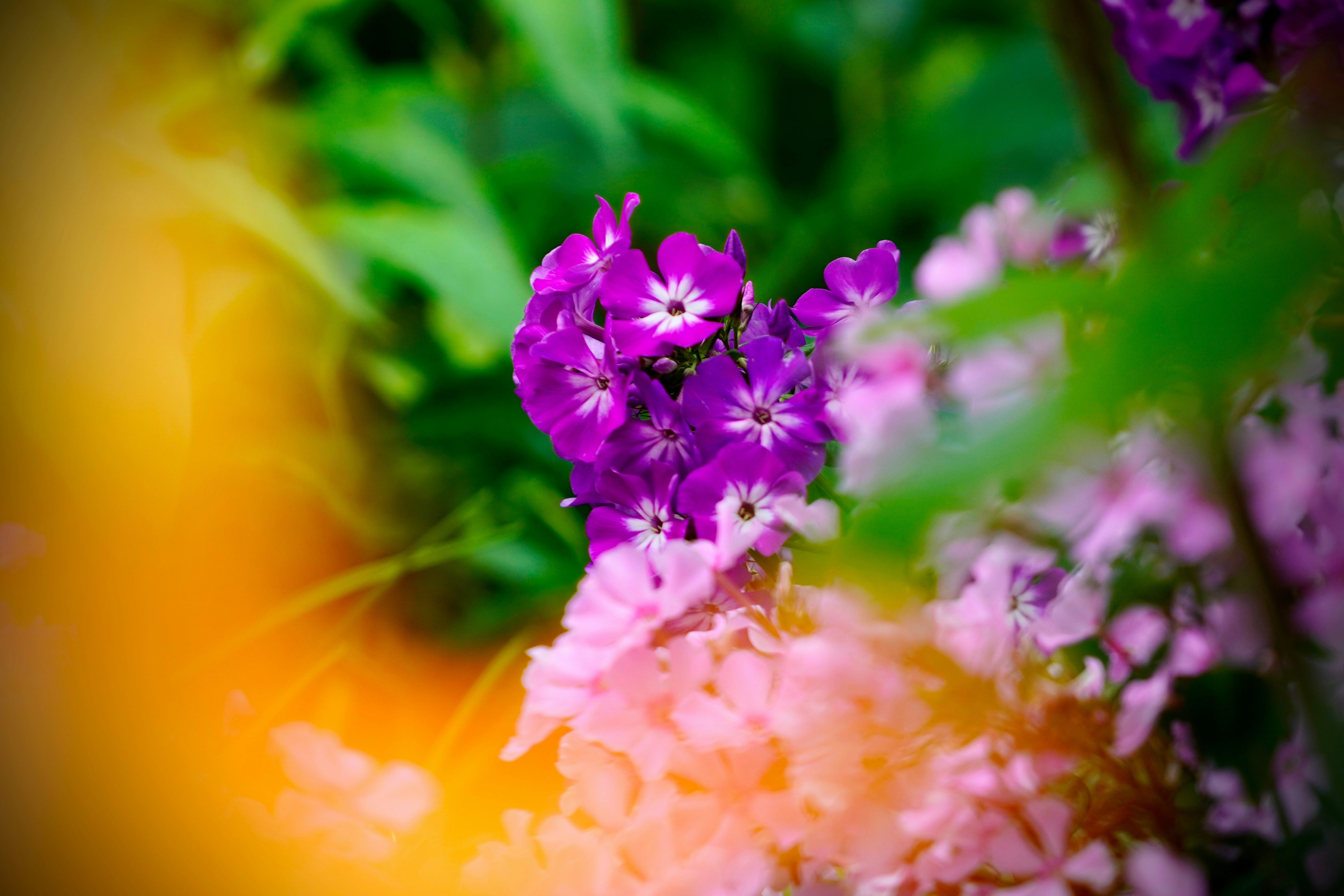 Photo by Jan Keller with Sony Alpha 6400