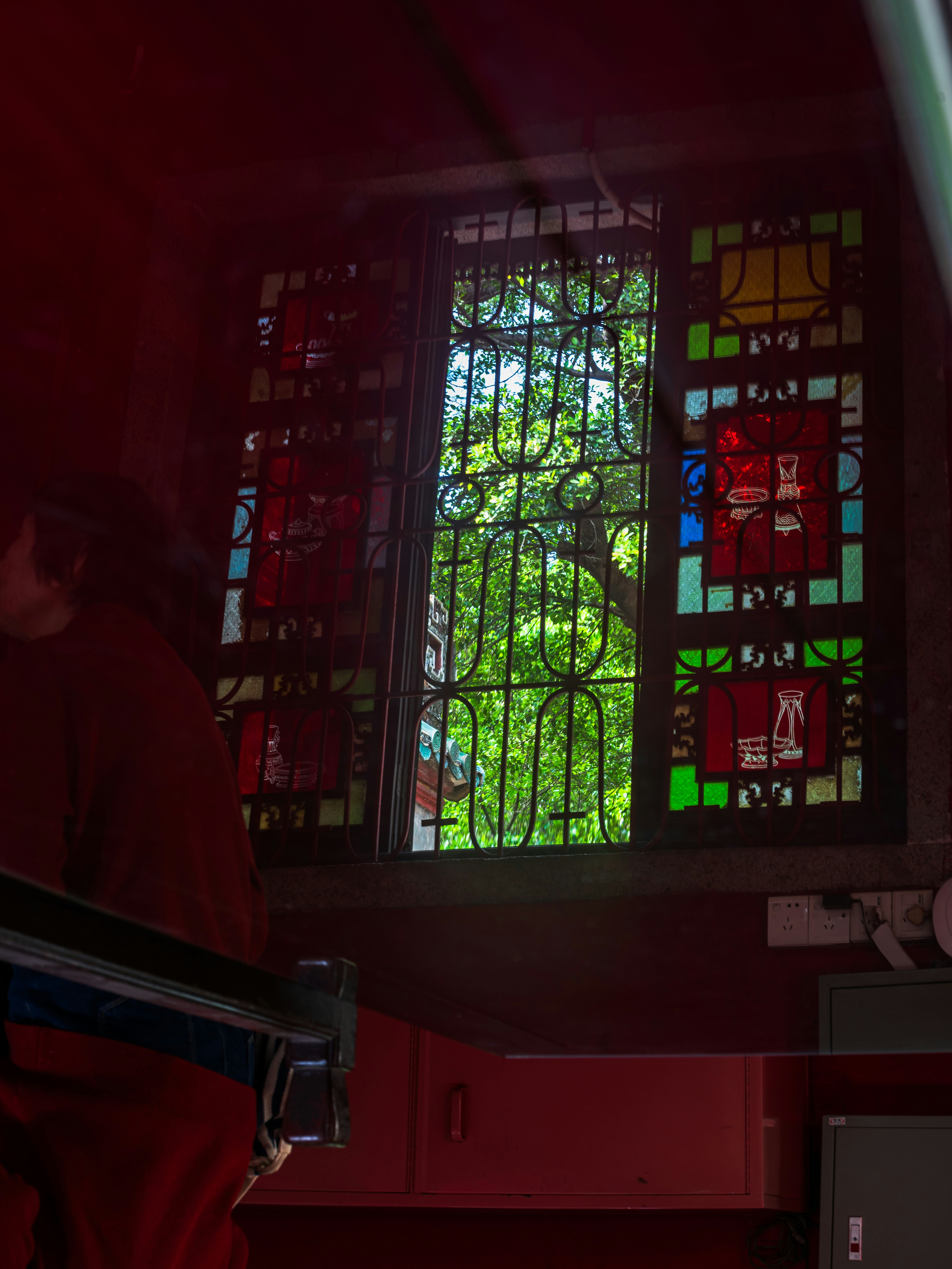 Photo by Zheng XUE with Nikon Z6 III