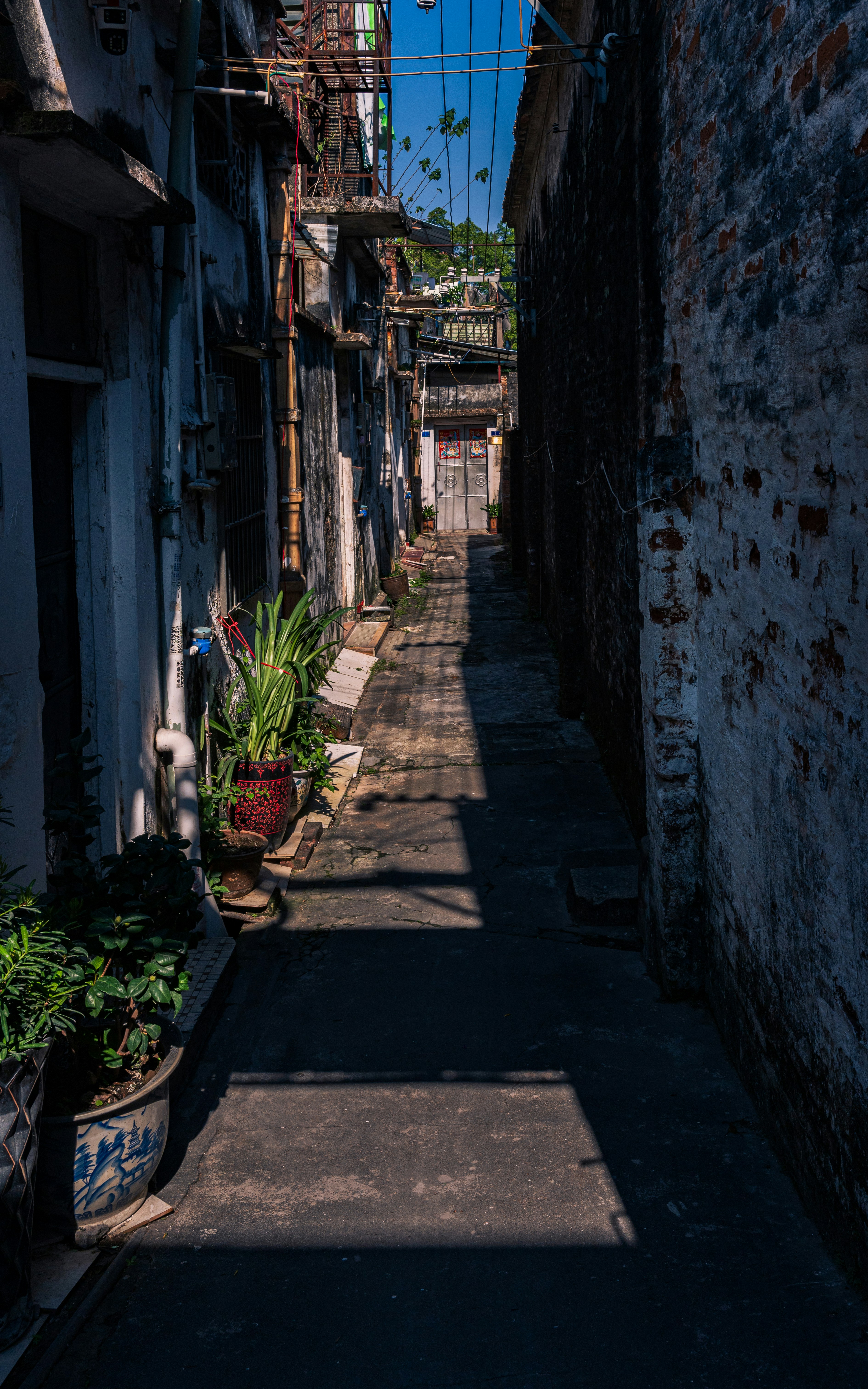 Photo by Zheng XUE with Nikon Z6 III